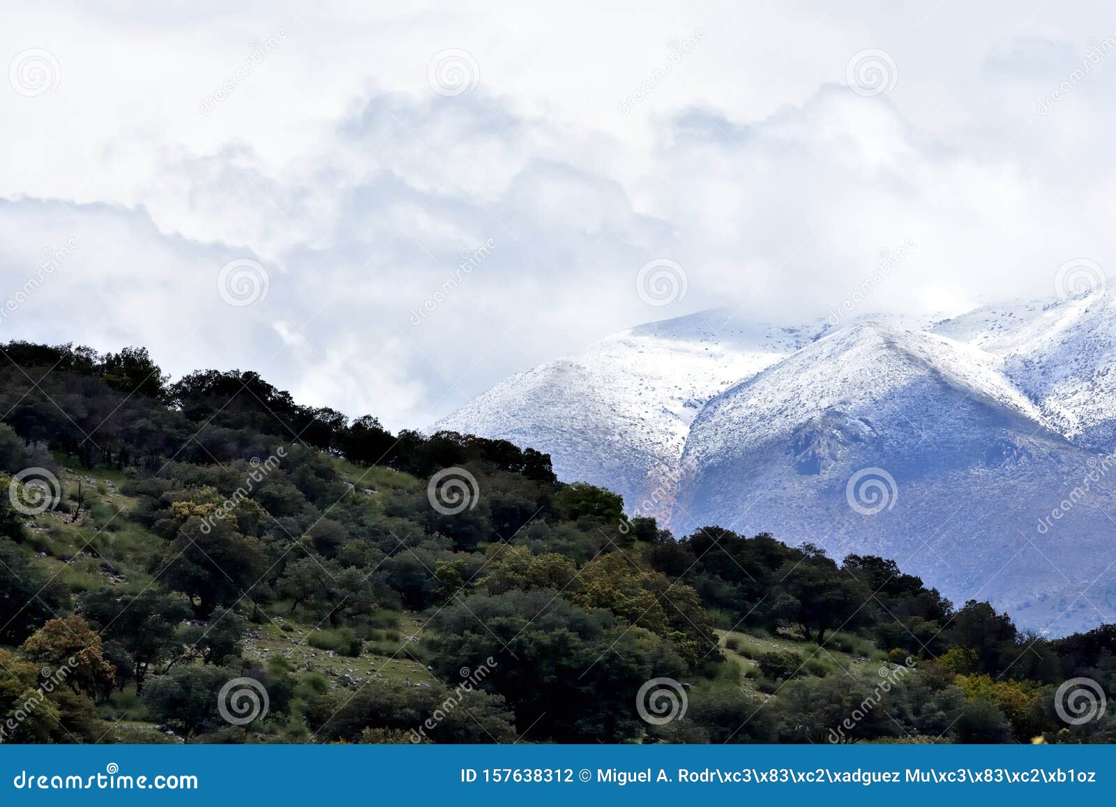 The last snows of spring stock photo. Image of forest - 157638312