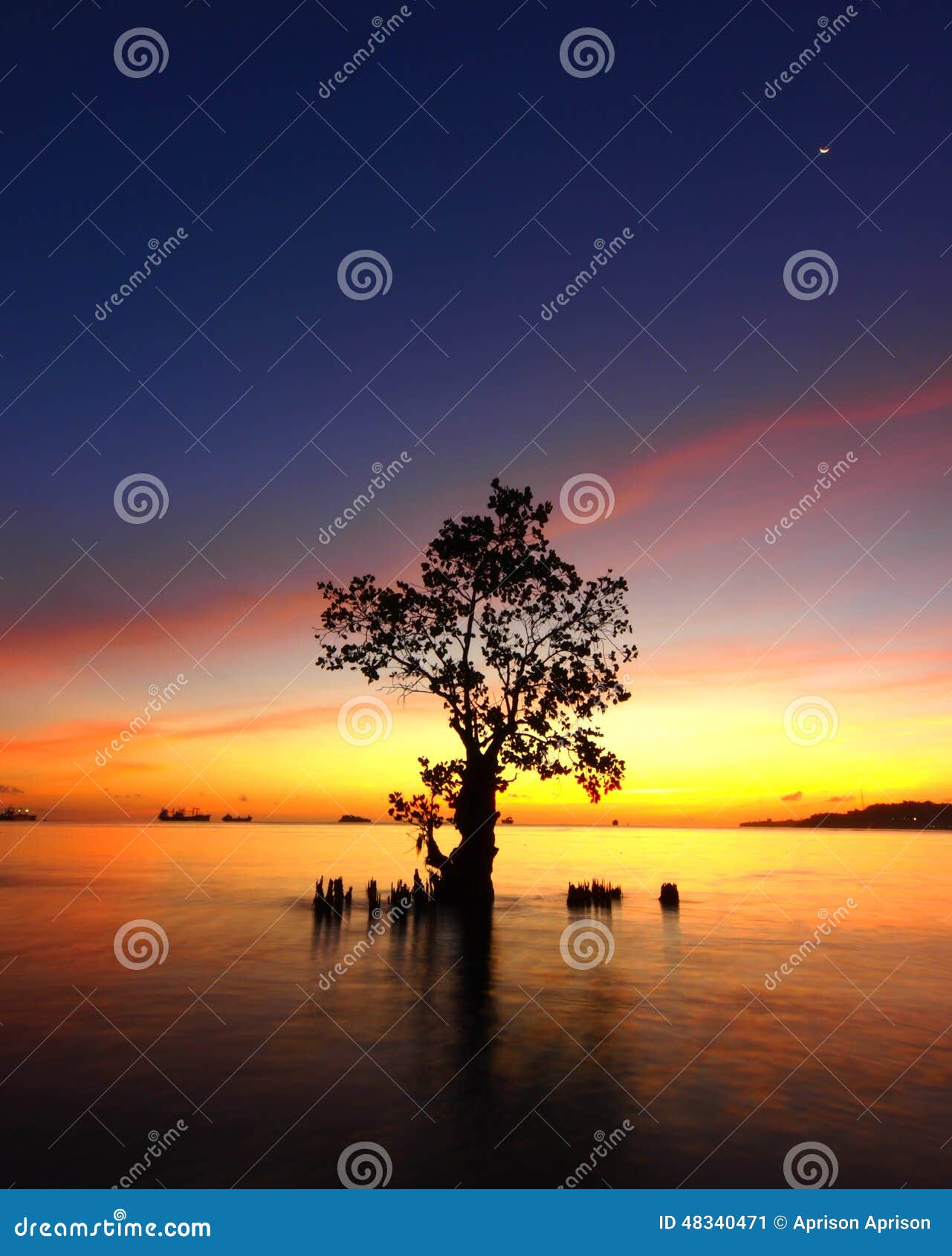 Last Tree Standing stock image. Image of horizon, halfmoon - 48340471