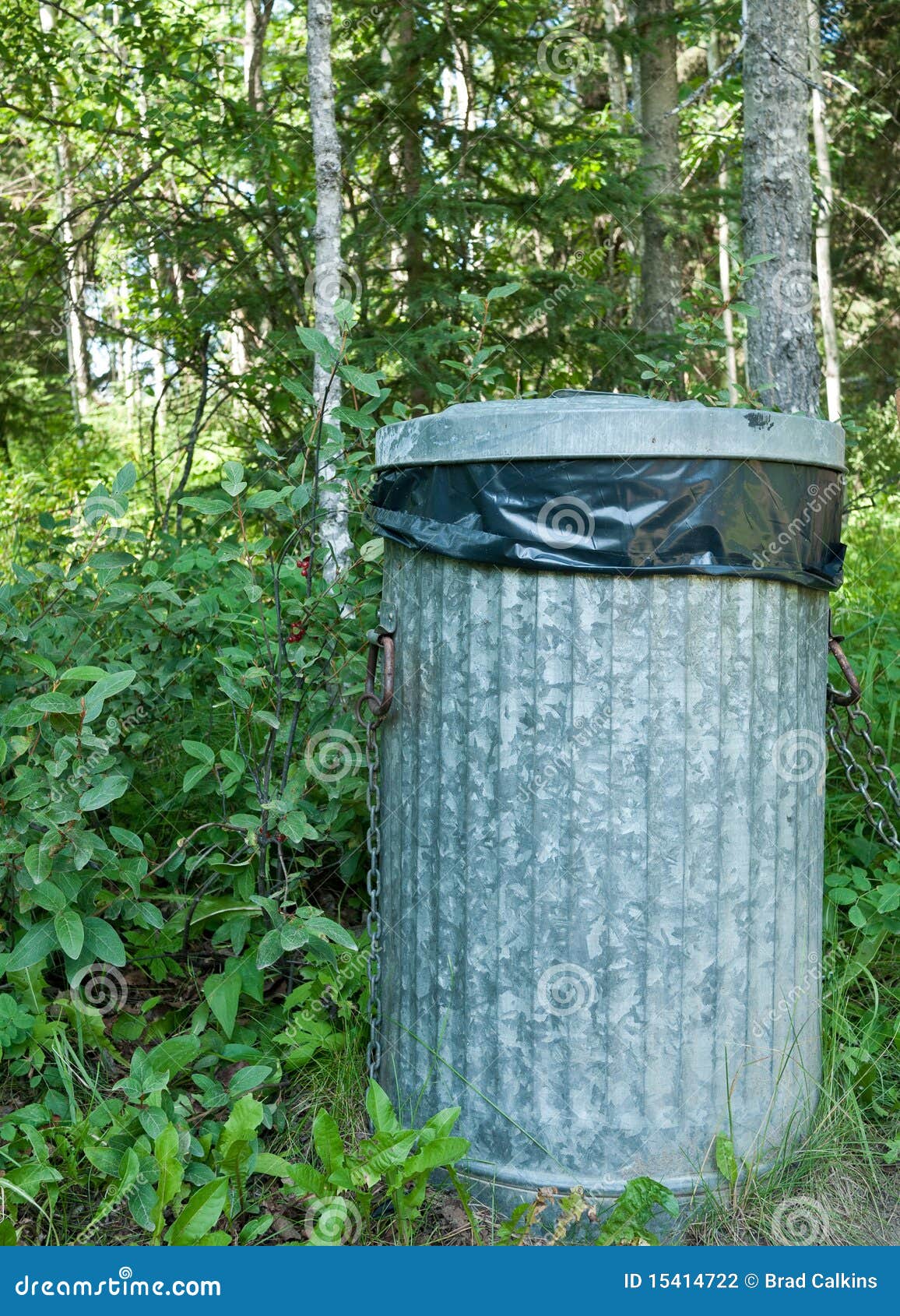 Lata de lixo foto de stock. Imagem de latas, limpeza - 15414722