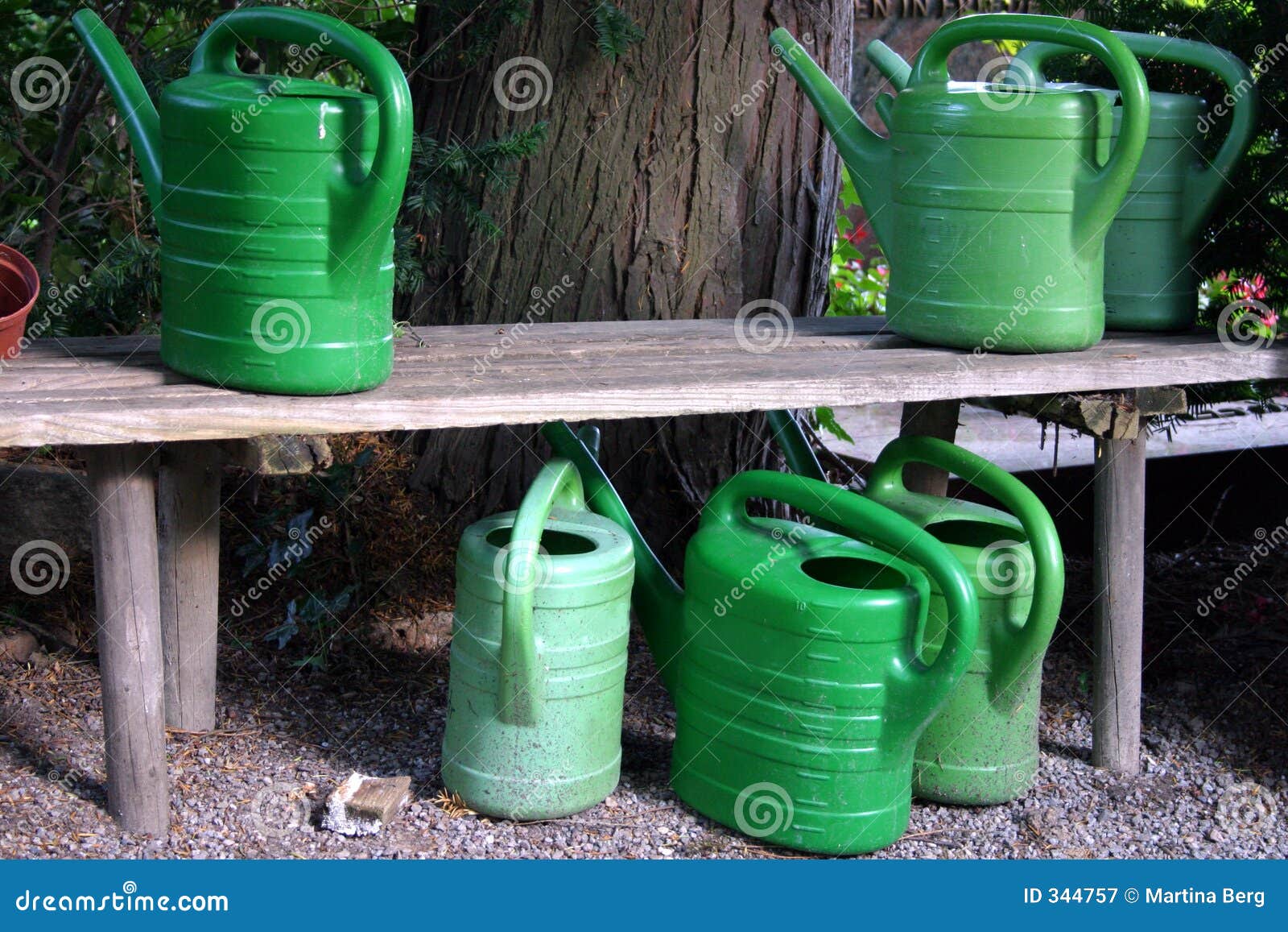 Latas molhando imagem de stock. Imagem de verde, madeira - 344757