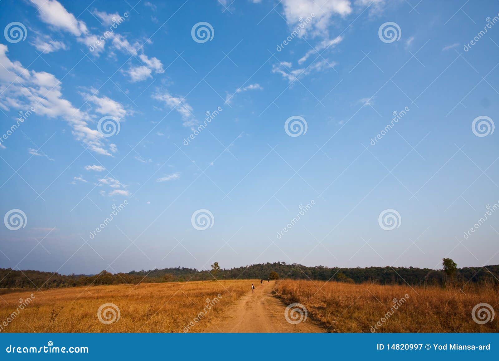 The late afternoon stock image. Image of sunset, late - 14820997