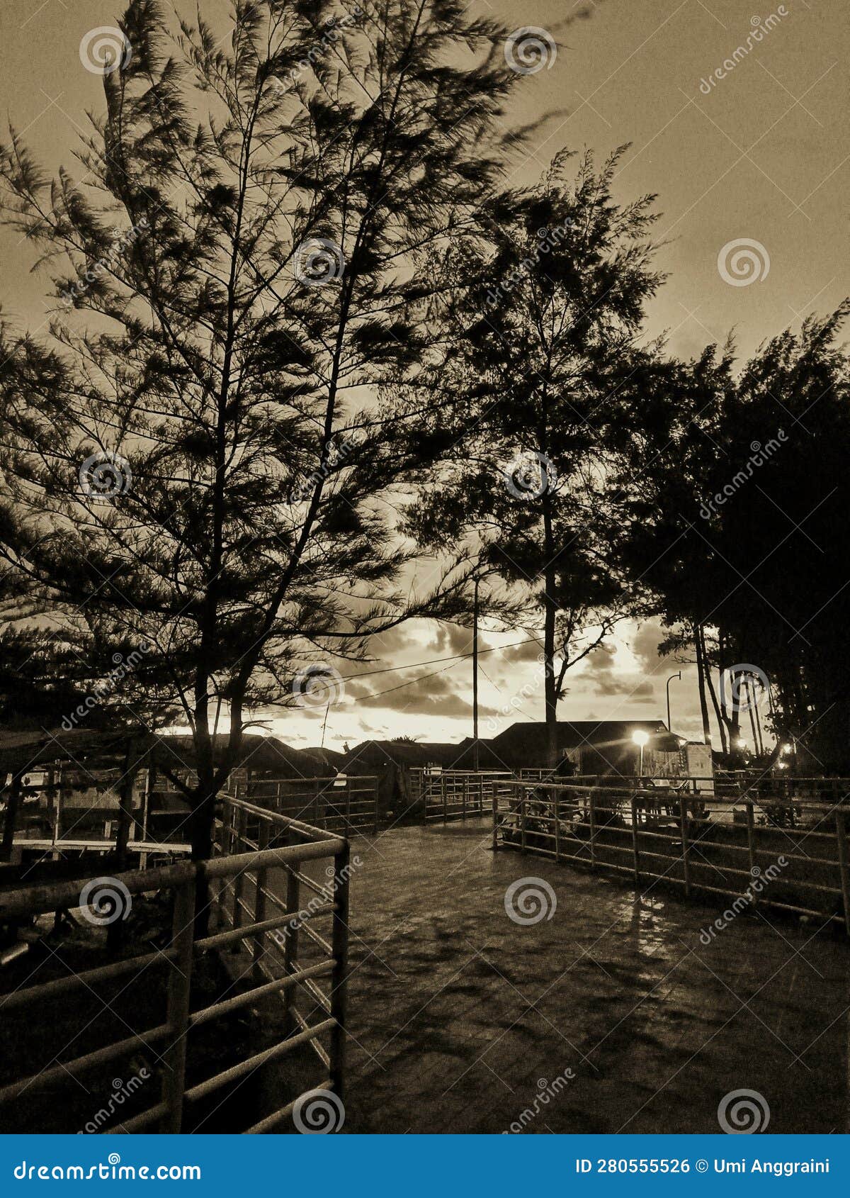 Late Afternoon As Dusk Arrives on the Beach Stock Photo - Image of late ...