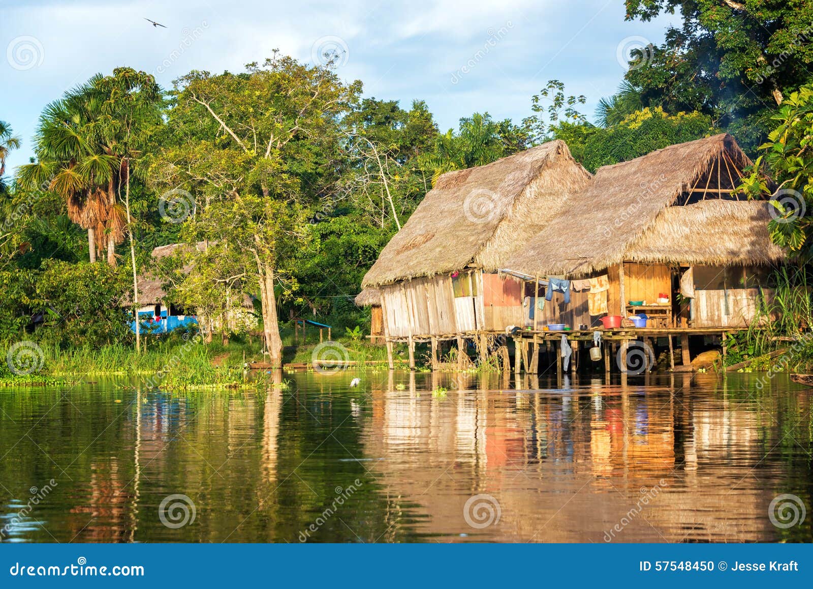 Late Afternoon Jungle Shack Stock Photo - Image of park, vacation: 57548450