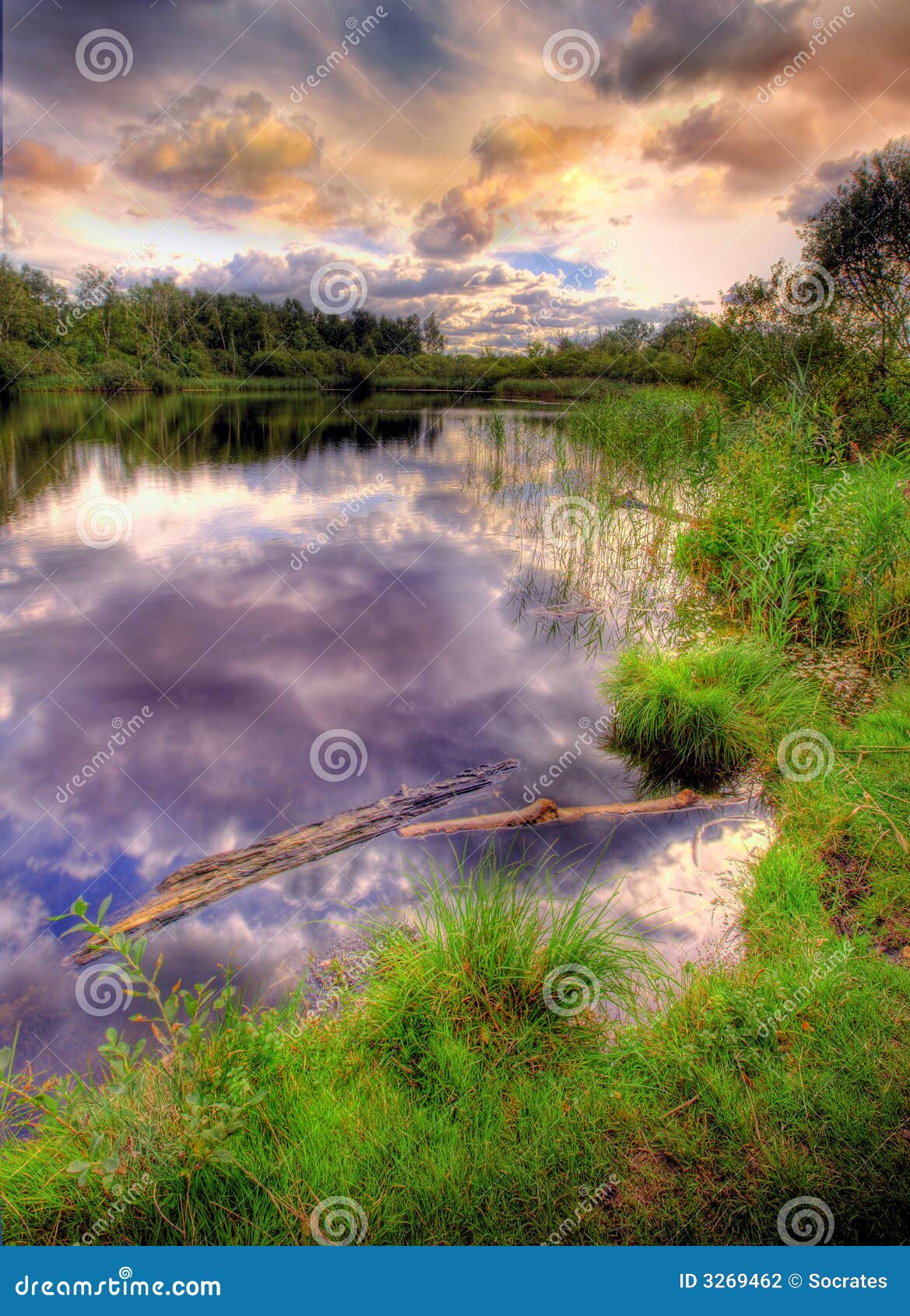 Late Afternoon - at the Lake Stock Photo - Image of morning, october ...