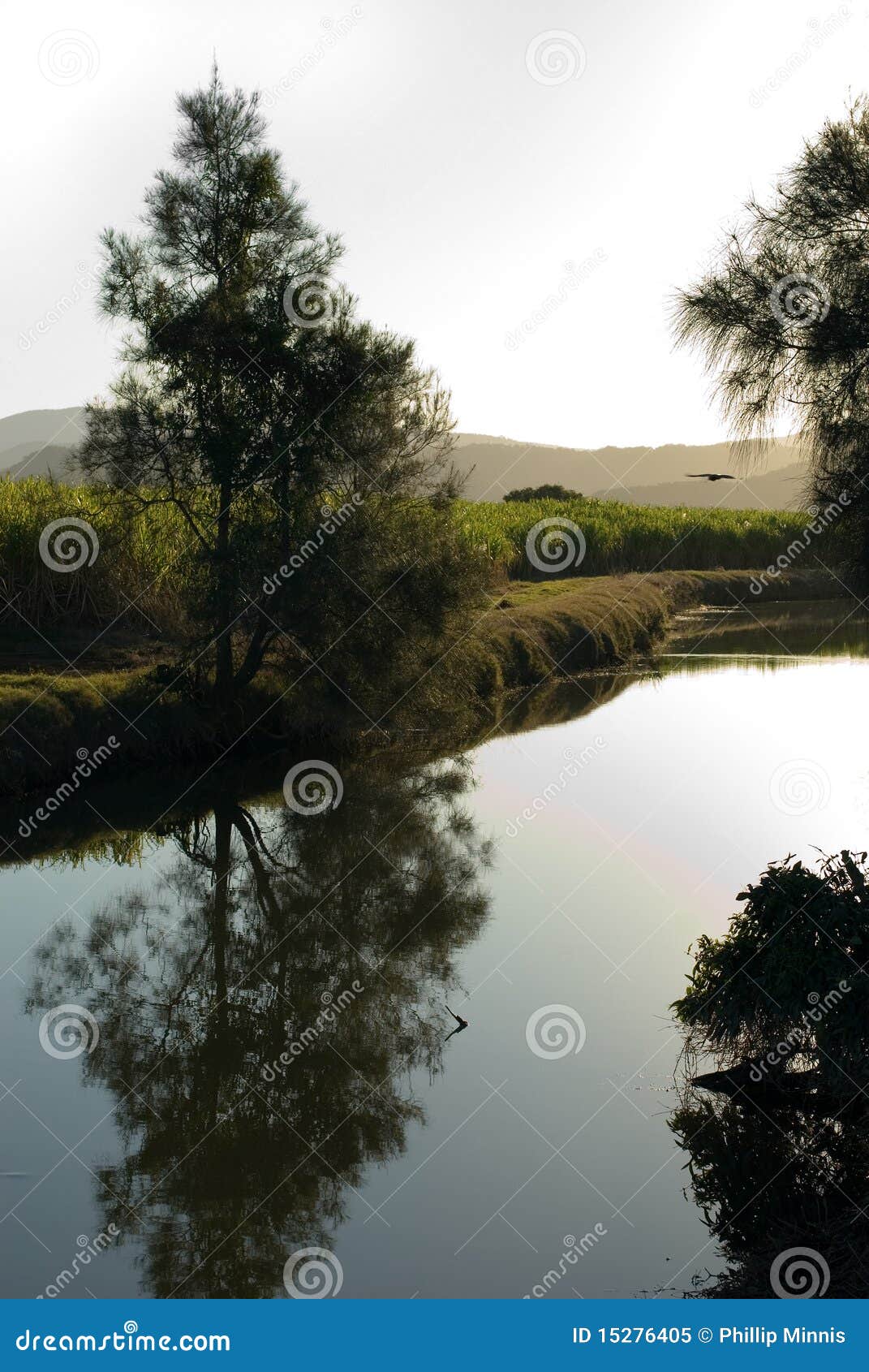Late Afternoon Reflections stock image. Image of farmland - 15276405