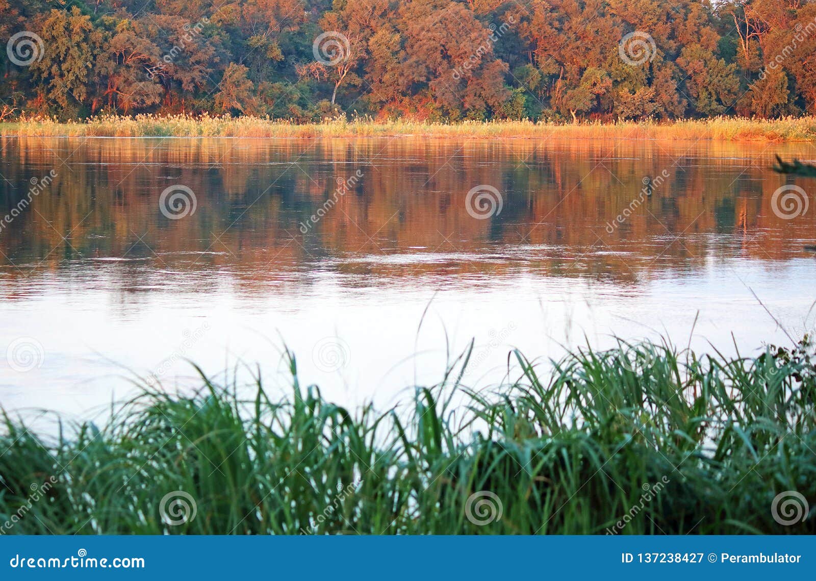 122 Kavango River Stock Photos - Free & Royalty-Free Stock Photos from ...