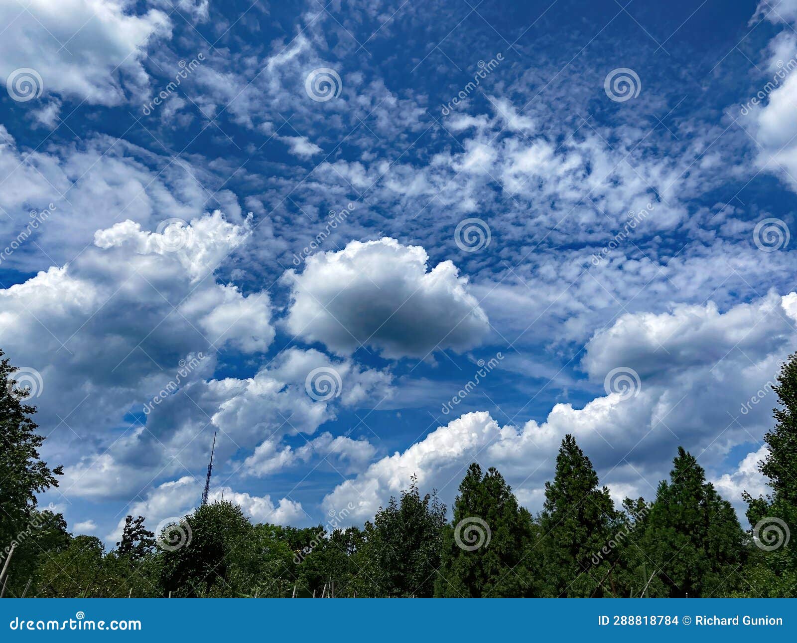 Late August Summer Clouds stock photo. Image of gray - 288818784