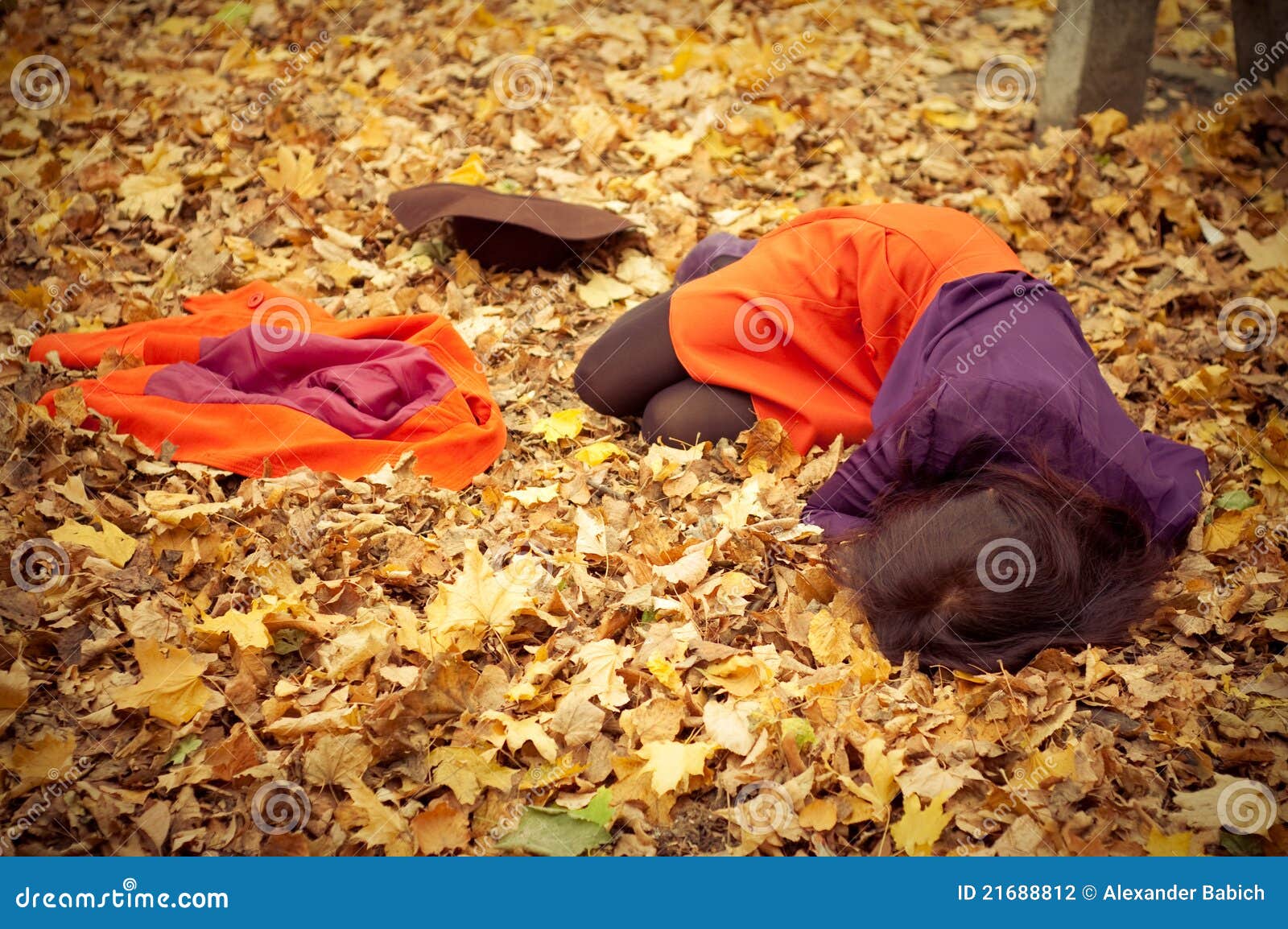 Late autumn stock photo. Image of fall, leaves, park - 21688812