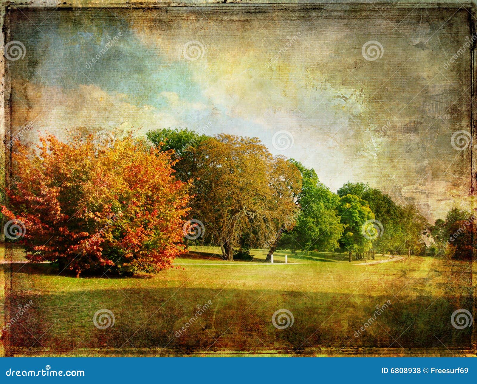 Late autumn stock photo. Image of garden, leafs, nature - 6808938