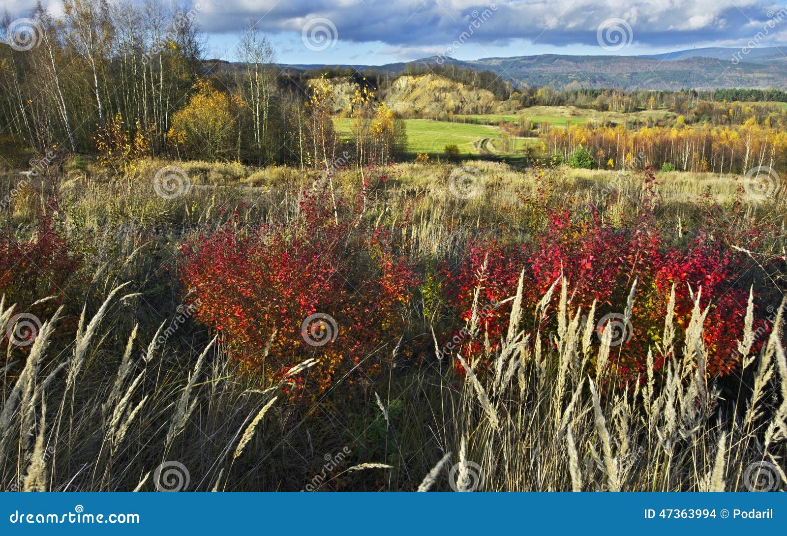 Late autumn stock photo. Image of november, outdoor, rural - 47363994