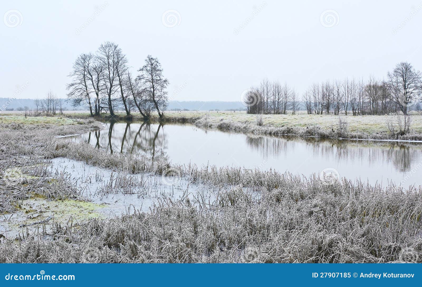 Late autumn. Morning frost stock image. Image of background - 27907185