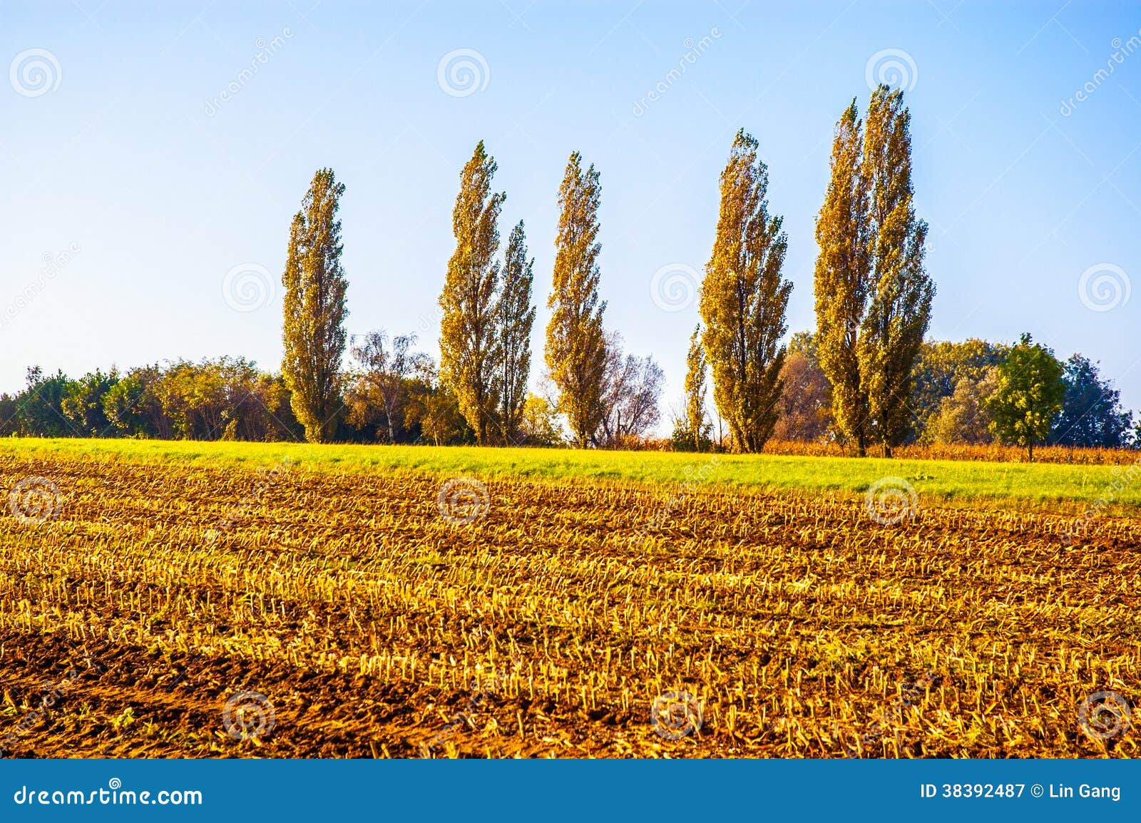 Late Autumn Scene in the Western Europe Stock Image - Image of color ...