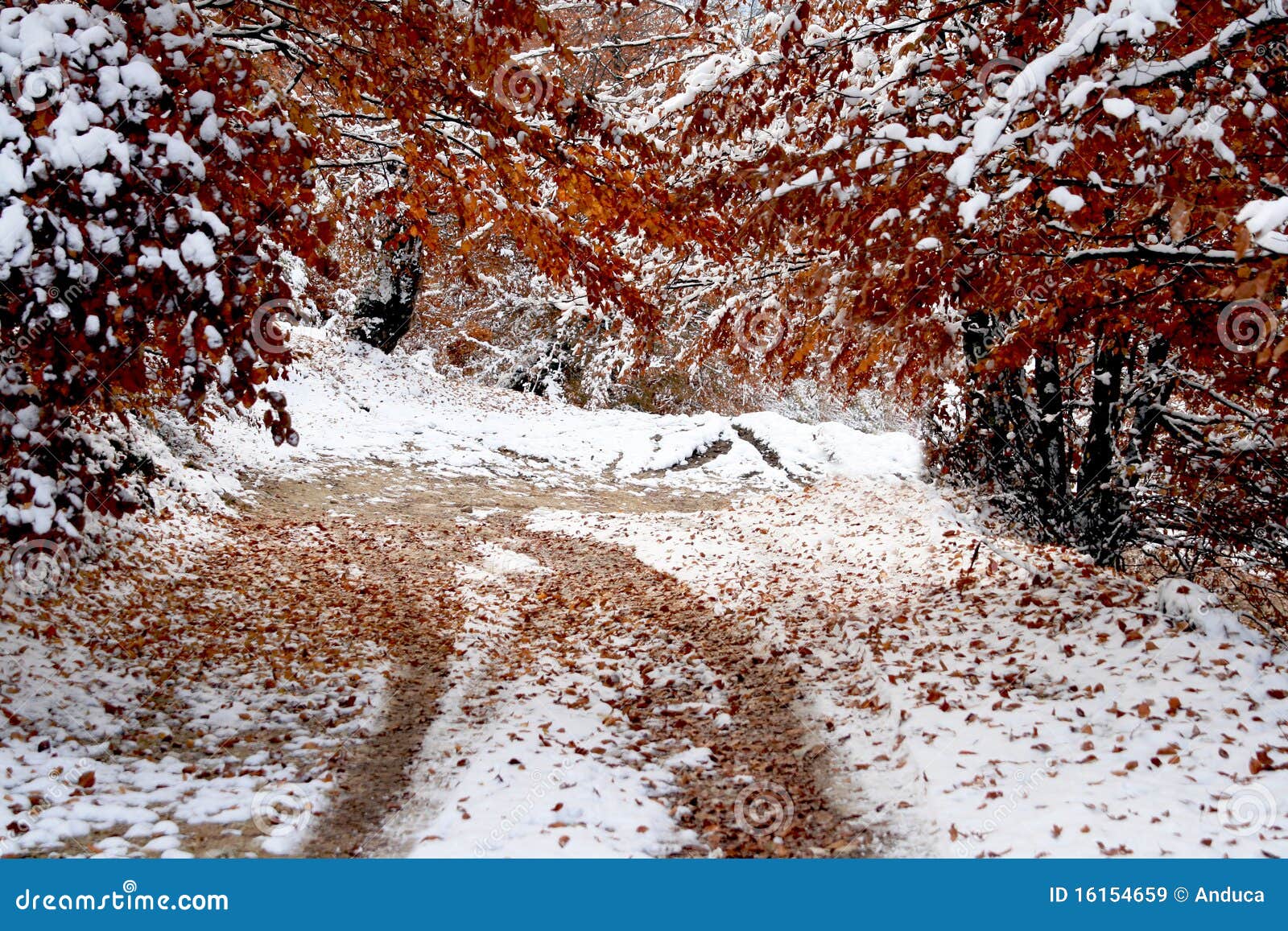 Late autumn scenery stock image. Image of intense, narrow - 16154659