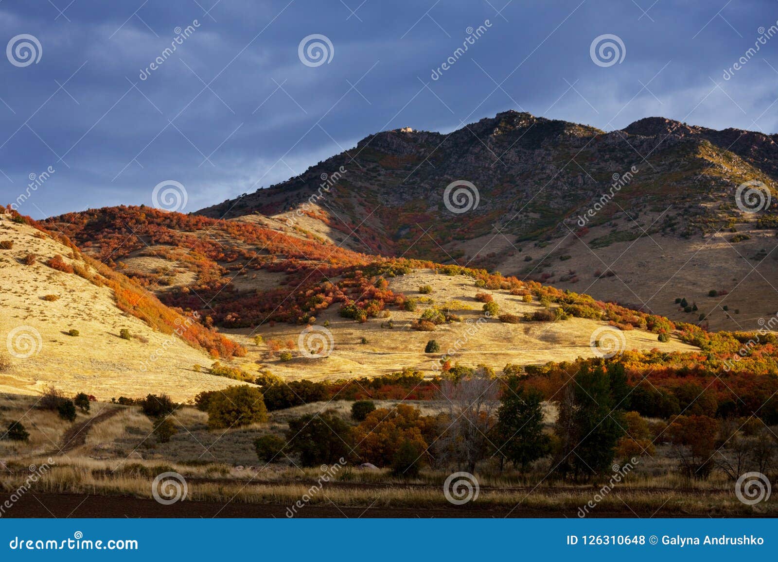 Autumn mountains stock photo. Image of cheerful, landscapes - 126310648
