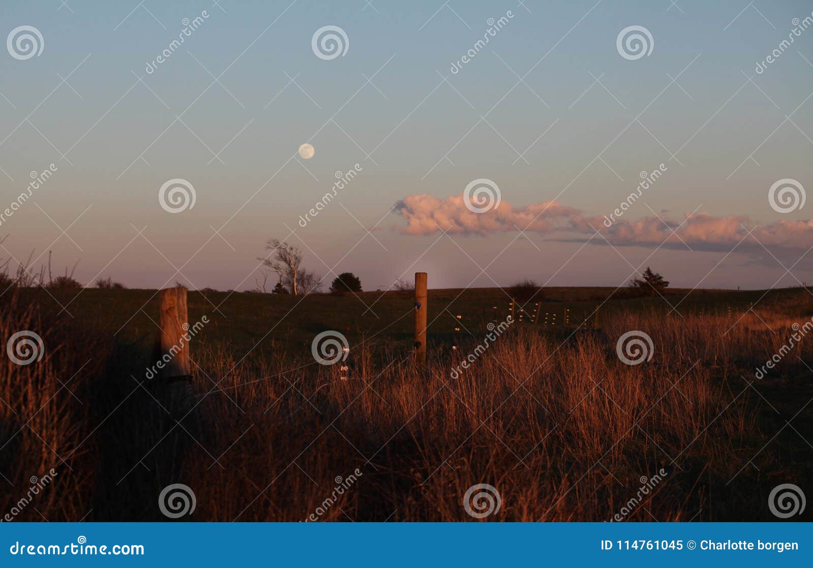 Late Day at the Countryside Stock Image - Image of natural, light ...