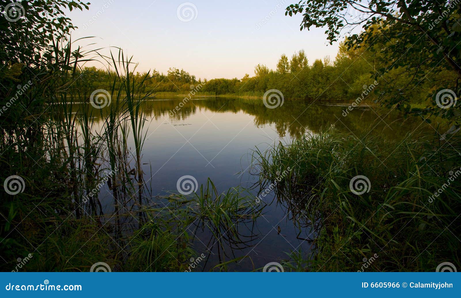 Late Evening Pond stock photo. Image of dusk, warm, water - 6605966
