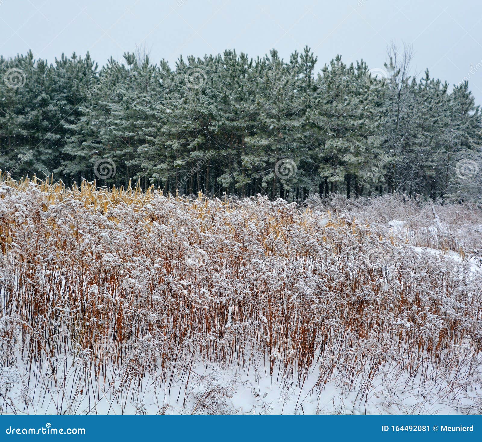 Late Fall, Early Winter Landscape Stock Image - Image of fresh, change ...