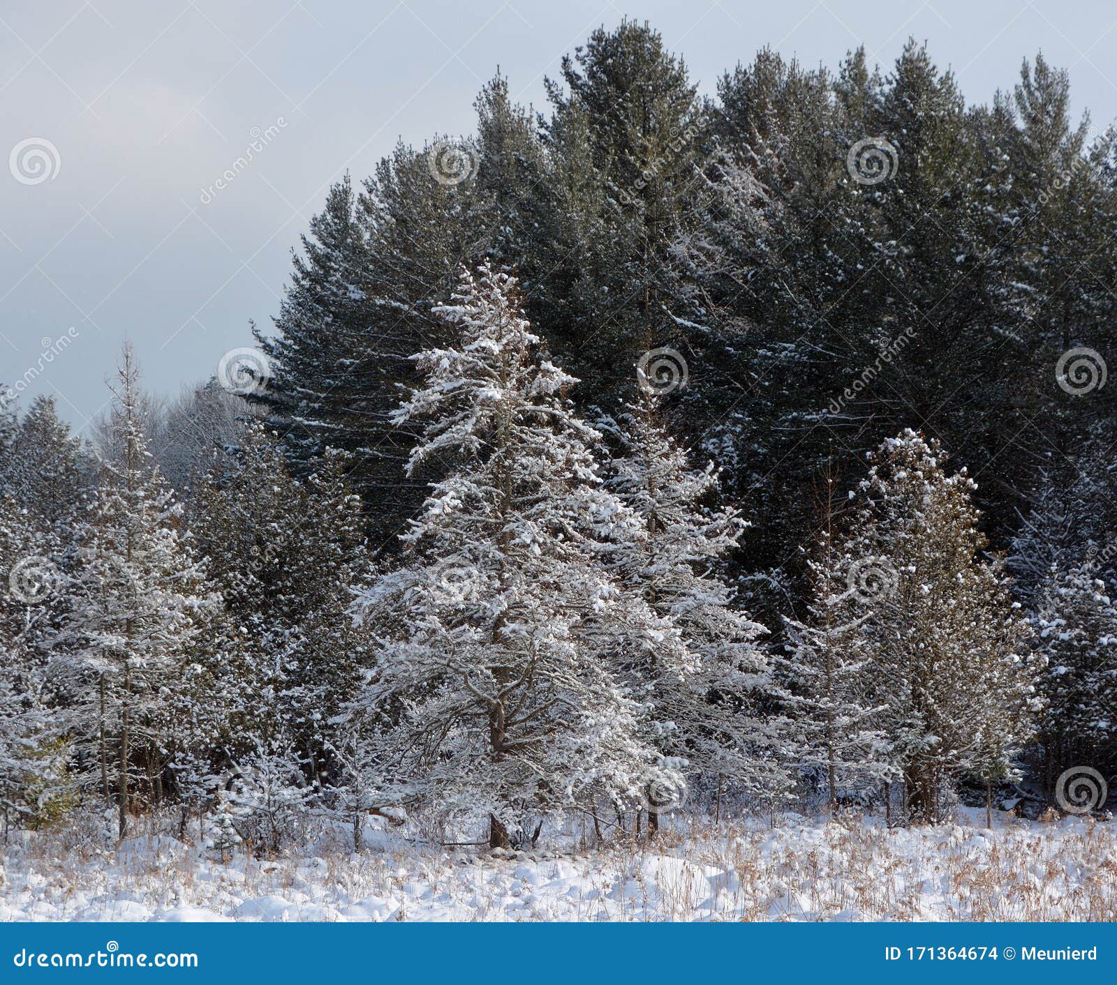 Late Fall, Early Winter Landscape Stock Photo - Image of change, fresh ...