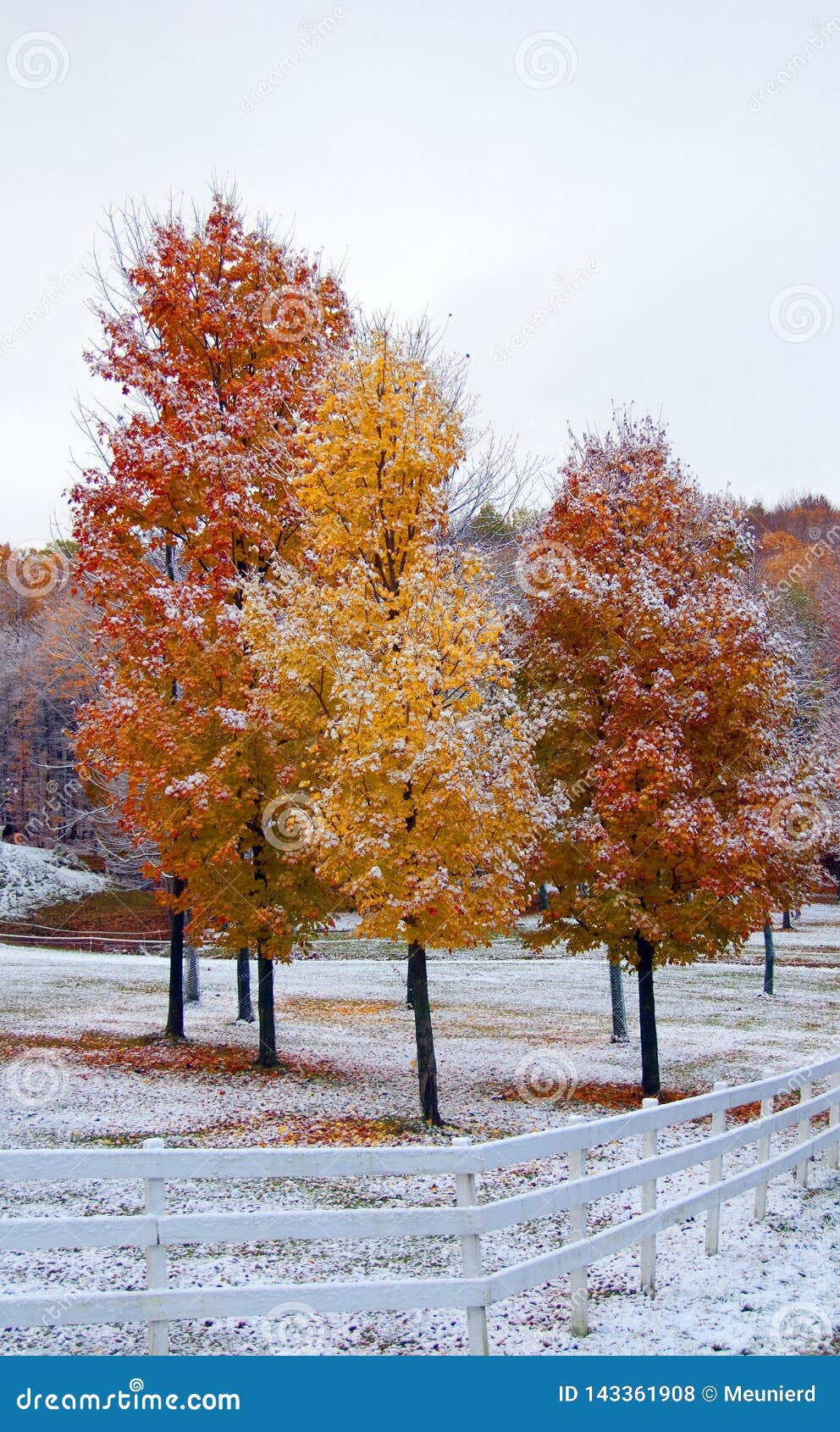 Late Fall Landscape Bromont Quebec Stock Photo - Image of peaceful ...