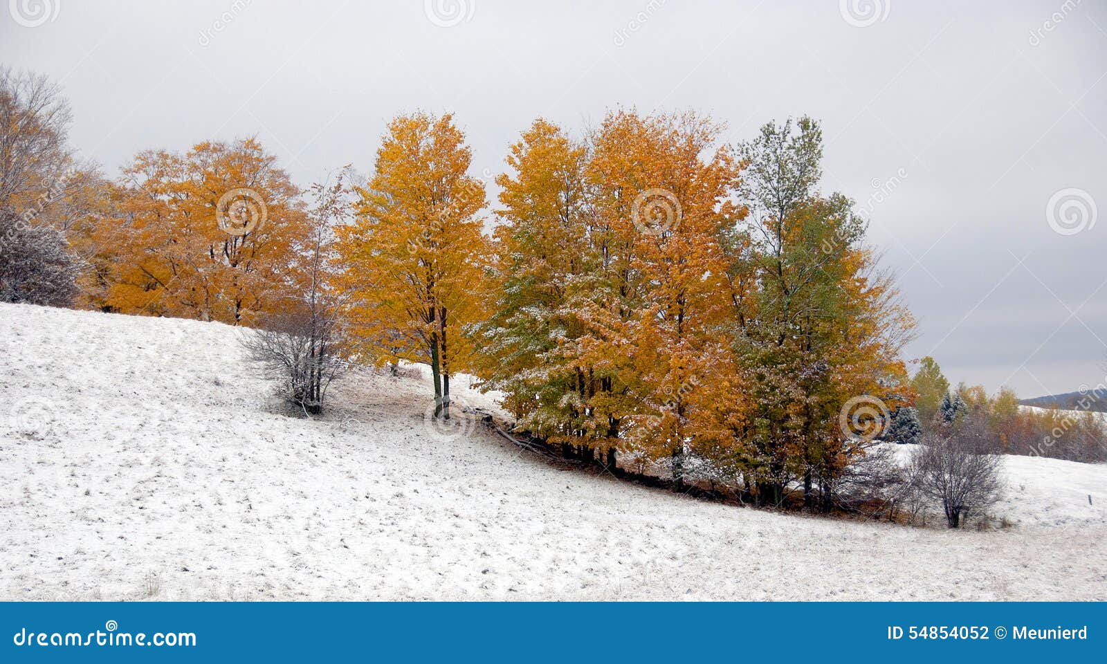 Late fall landscape stock photo. Image of autumn, leaf - 54854052