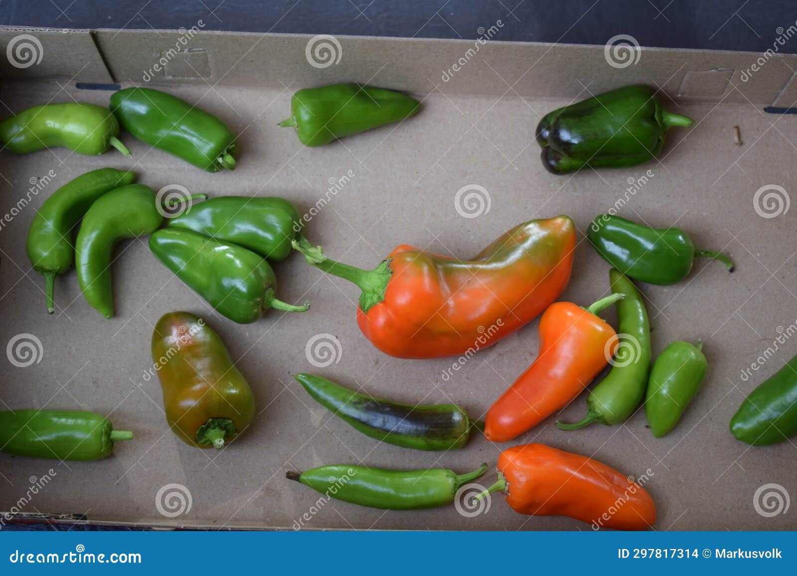 Late harvest paprika stock photo. Image of paprika, cuisine - 297817314