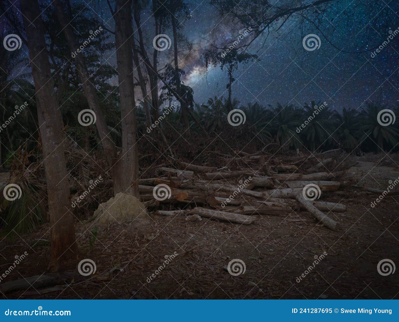 Late Night Scene at the Vacant Land Stock Image - Image of area, milky ...