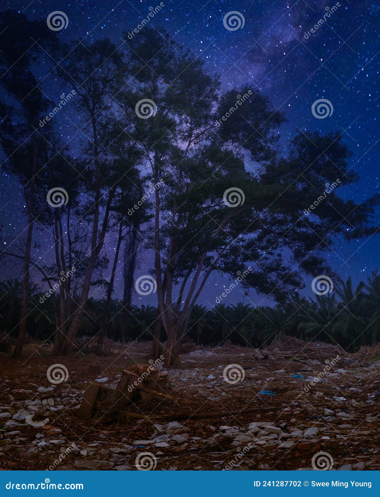 Late Night Scene at the Vacant Land Stock Photo - Image of meadow ...
