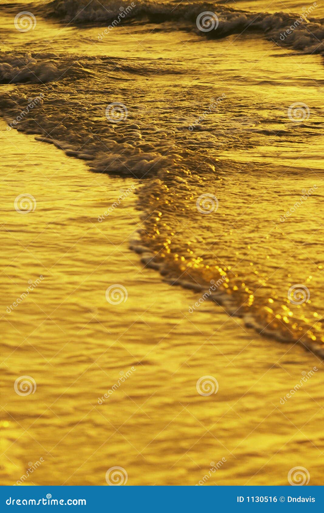 Late after noon light stock photo. Image of scenery, tranquility - 1130516