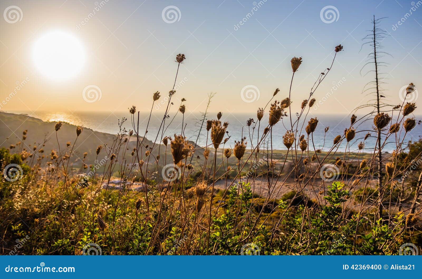 Late Summer Scene of Sea Sunset Stock Photo - Image of idyllic, evening ...