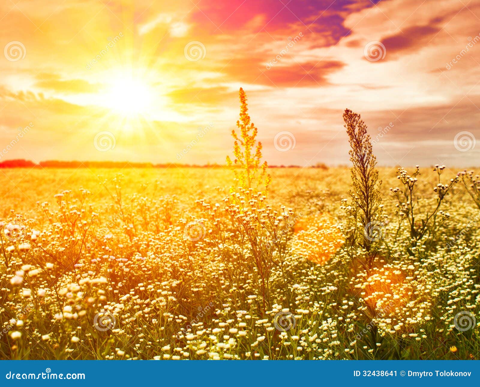 Late Summer Sunlight Breaking Through The Trees At A Mystical Lane ...