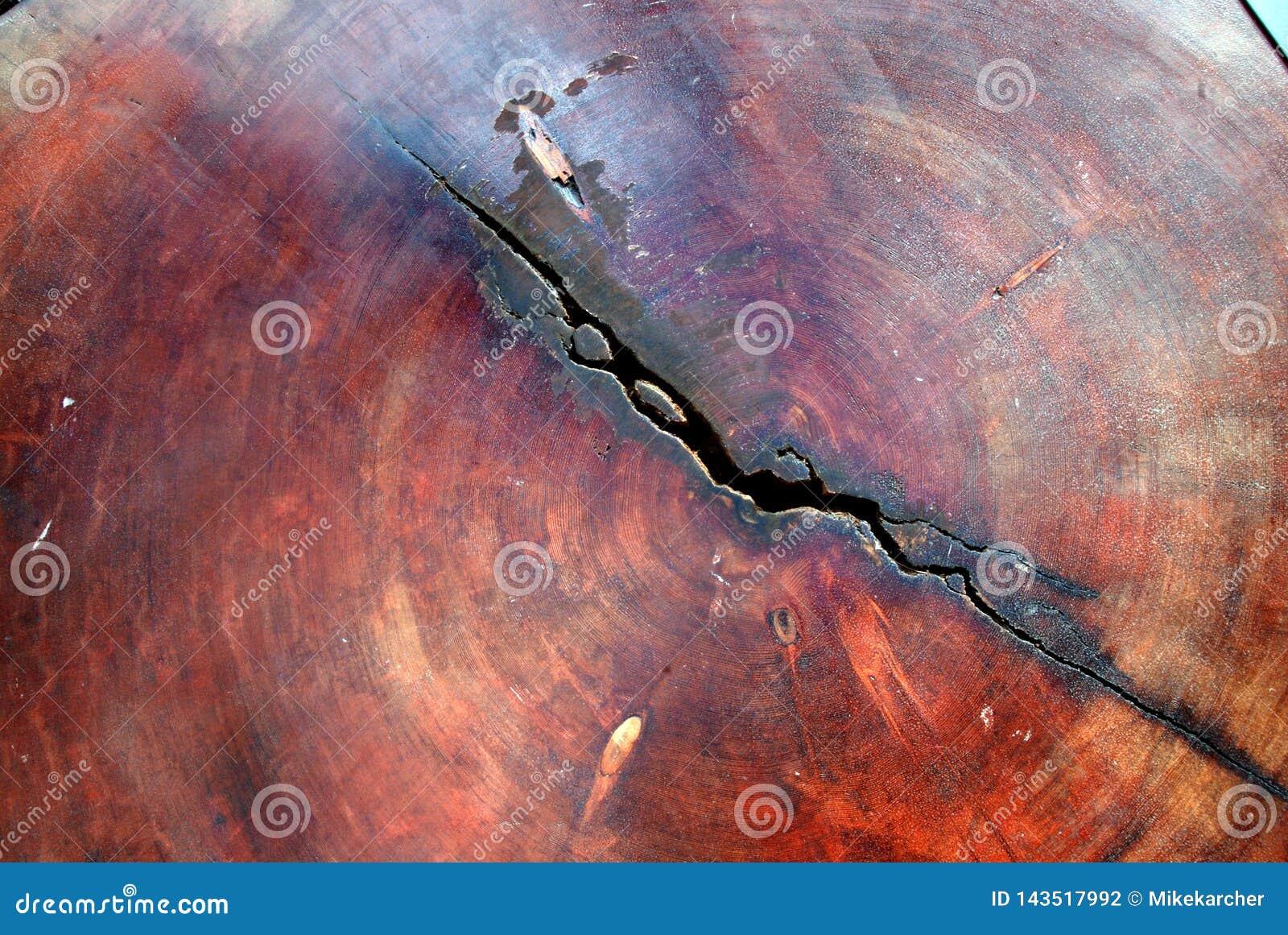 Redwood surface stock photo. Image of nature, timber - 143517992
