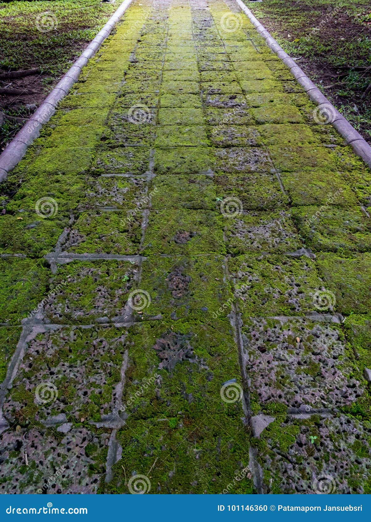 Laterite Pathway in garden stock photo. Image of laterite - 101146360