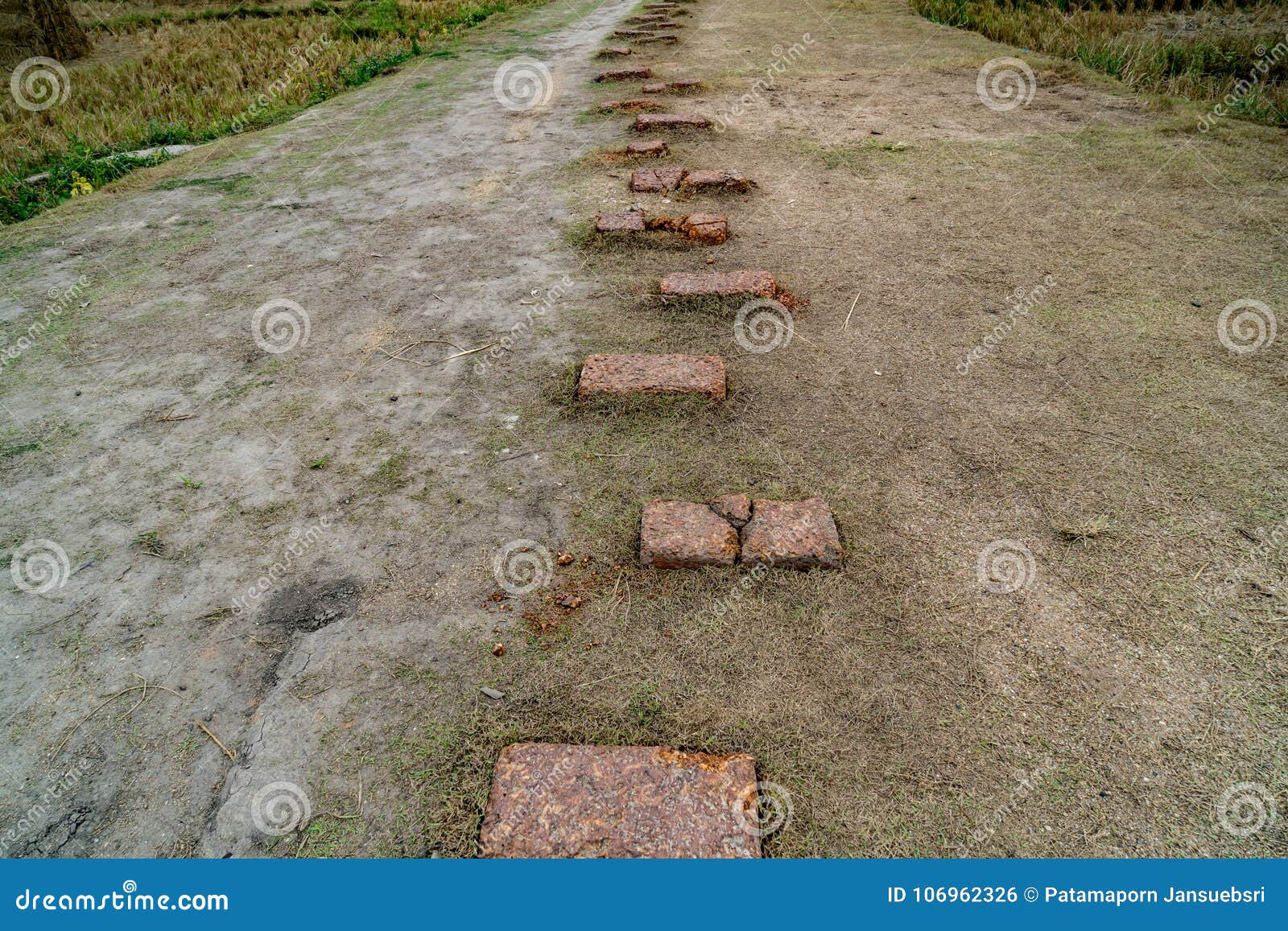 Laterite Pathway in the Park Stock Photo - Image of beautiful, dust ...