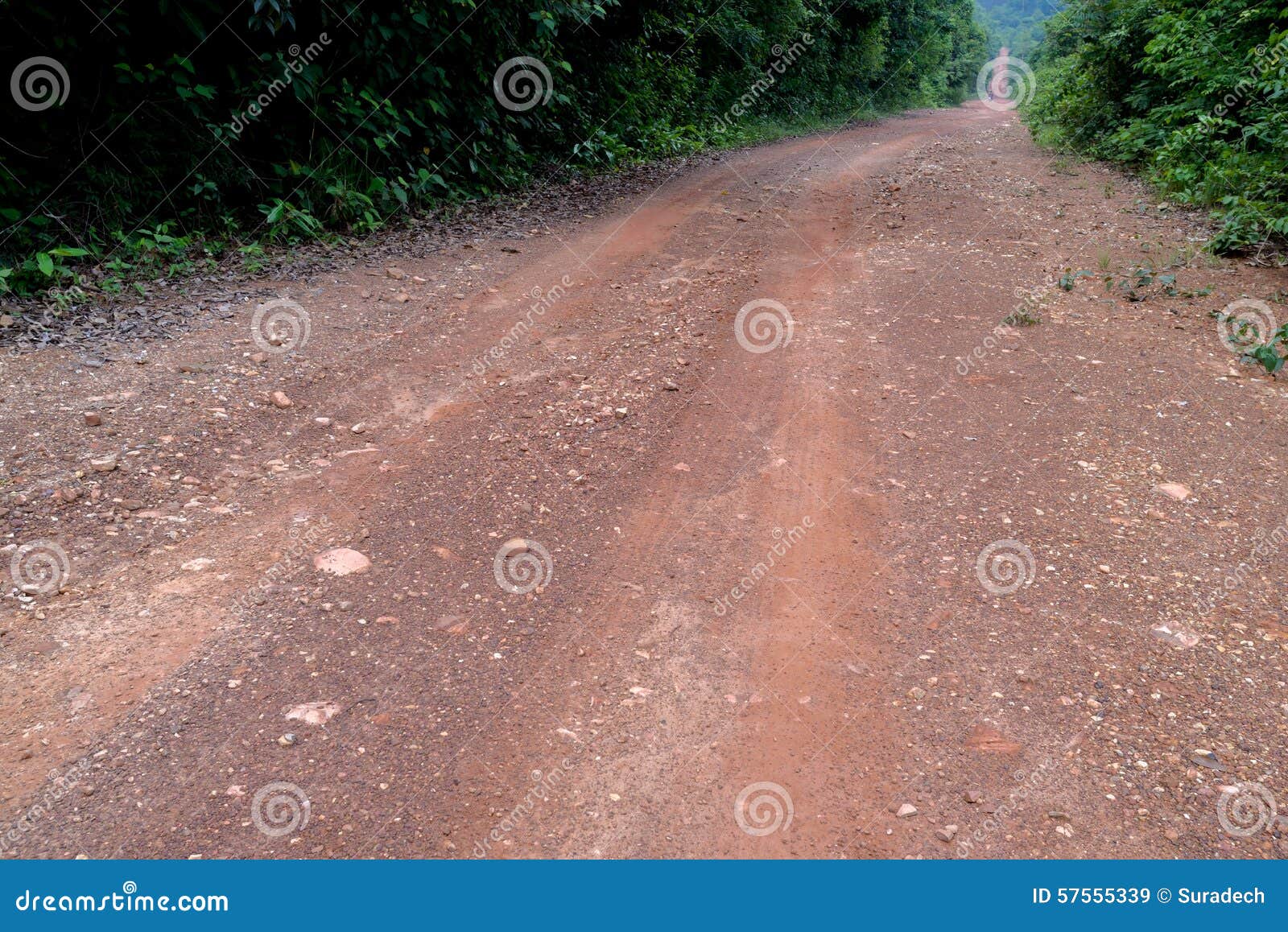Laterite Road in Countryside Stock Image - Image of track, stone: 57555339