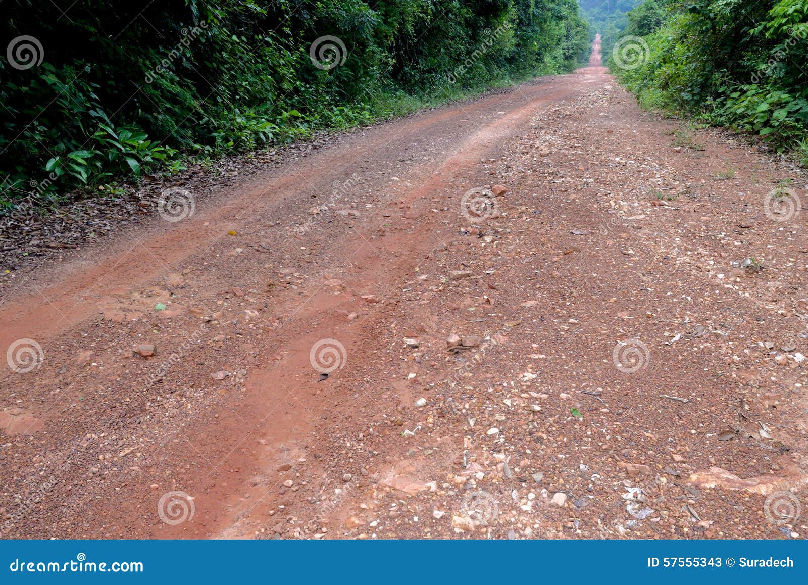 Laterite Road in Countryside Stock Image - Image of countryside, track ...