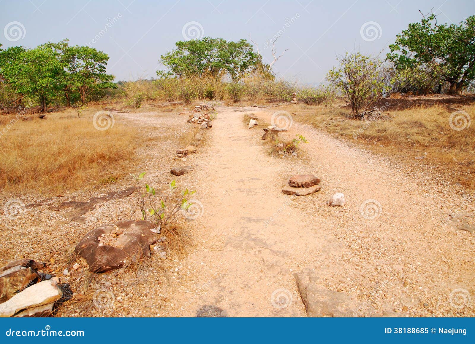 Laterite road stock image. Image of path, grass, country - 38188685