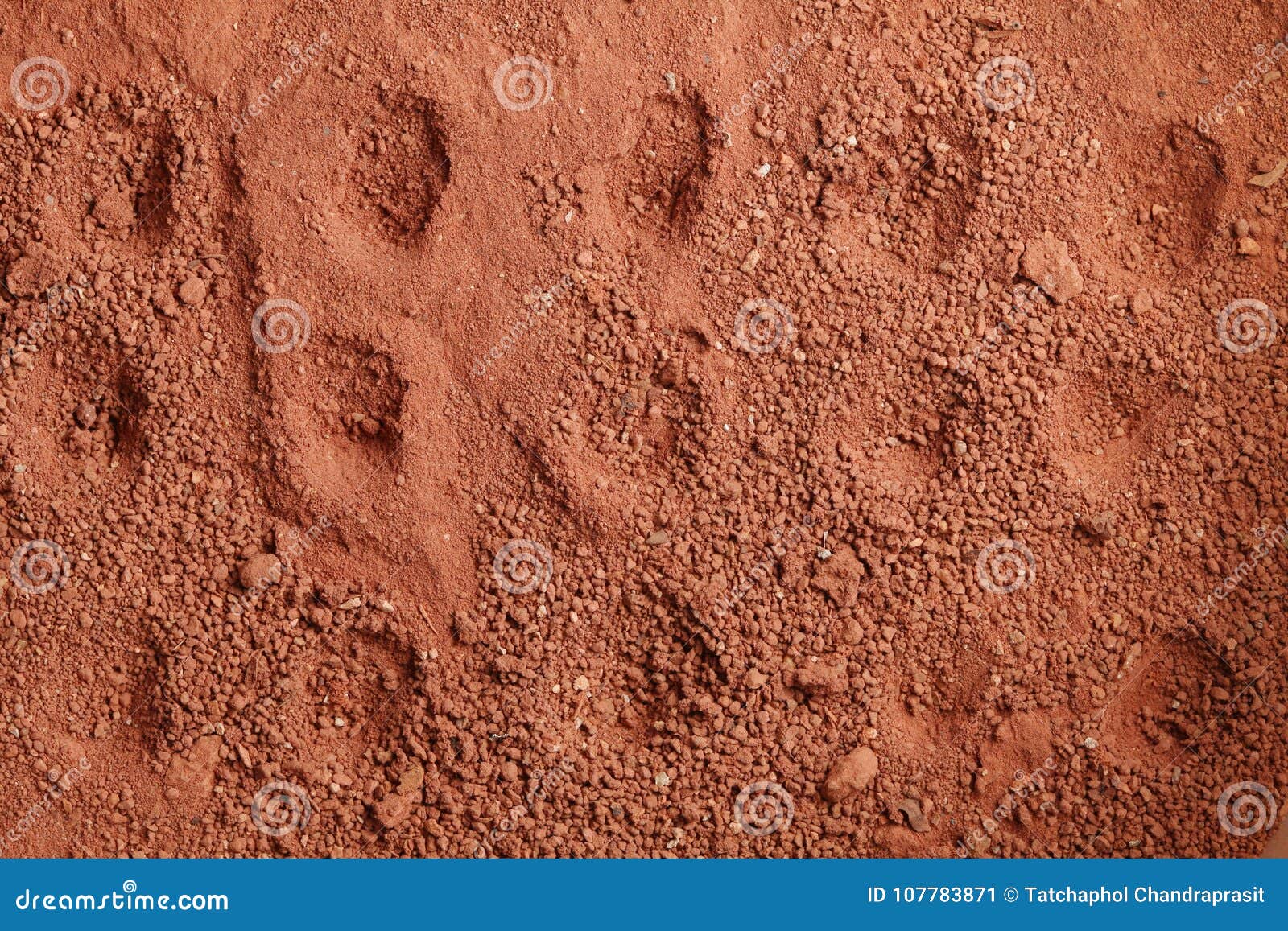 Laterite soil scene. stock image. Image of hole, ground - 107783871