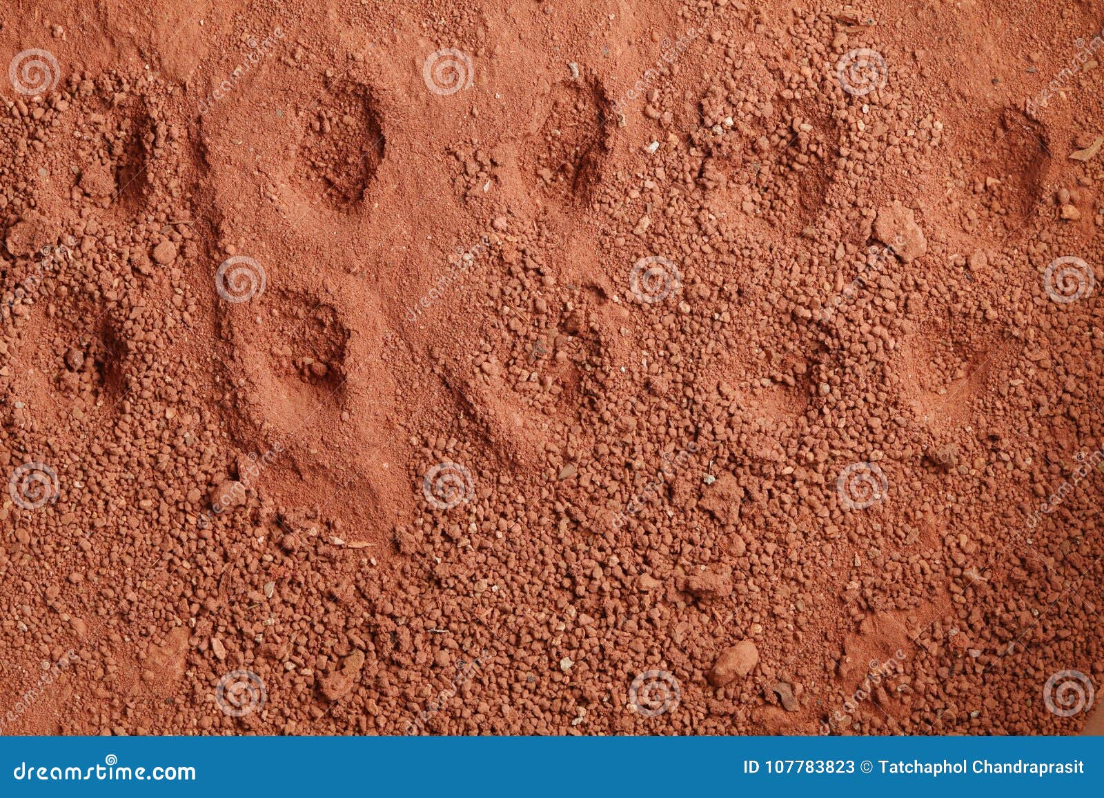 Laterite soil scene. stock image. Image of ground, flat - 107783823