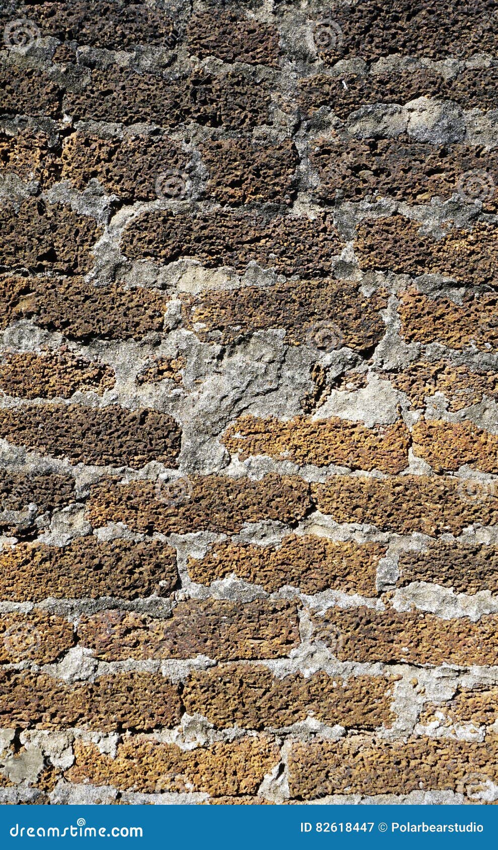 World Map Laterite On Green Moss Background. Stock Image ...