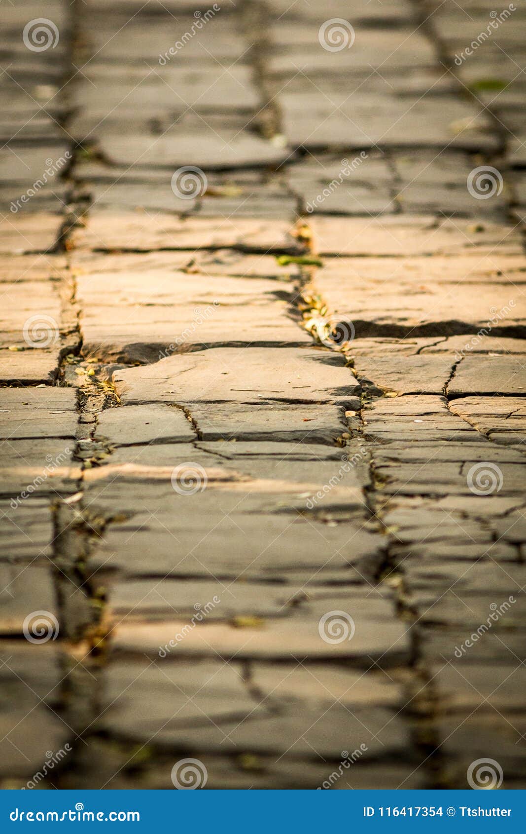 Laterite stone walkway stock photo. Image of abstract - 116417354