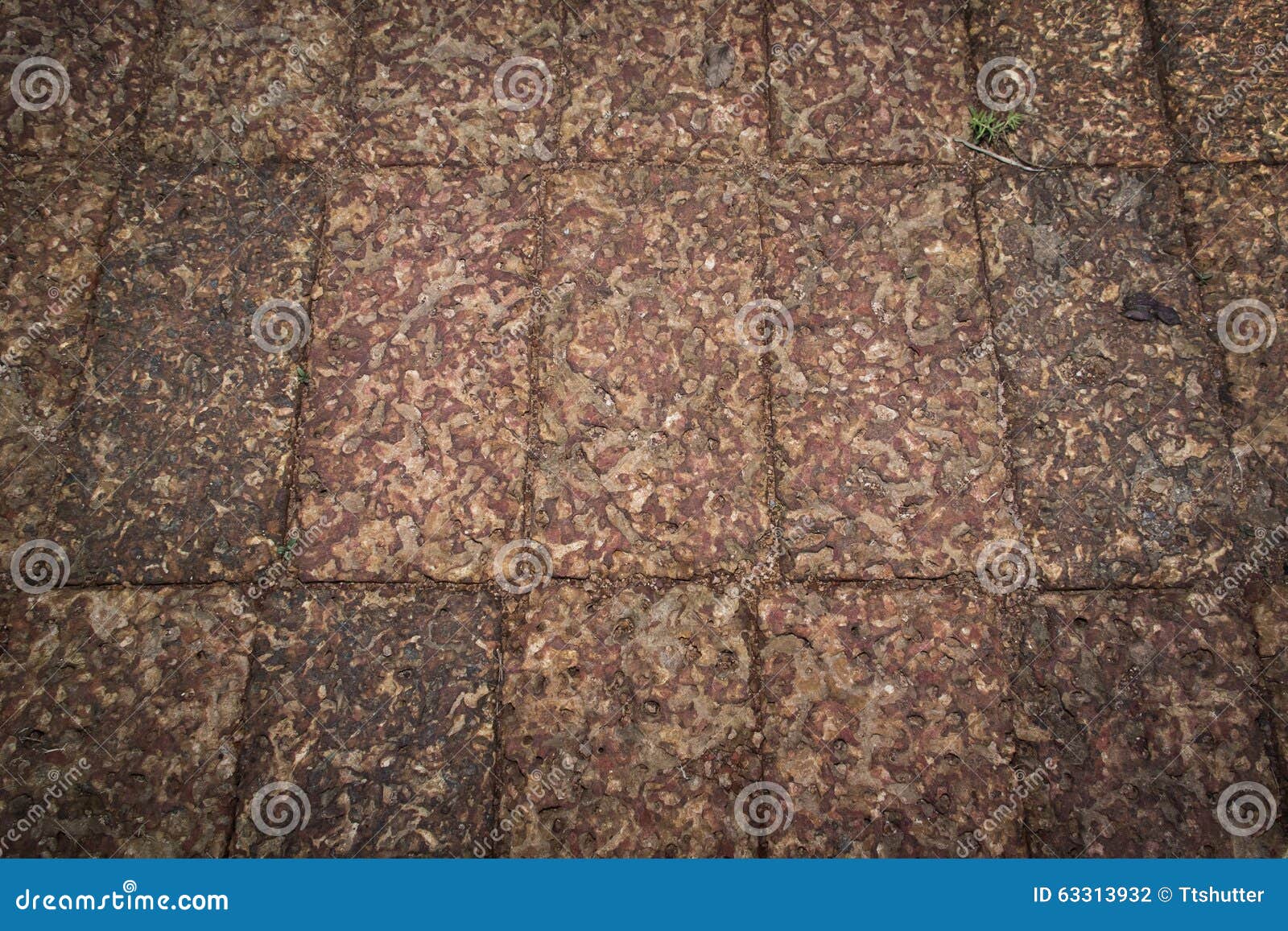 Pattern Of Laterite Stepping Stone On A Green Lawn Backyard In The ...