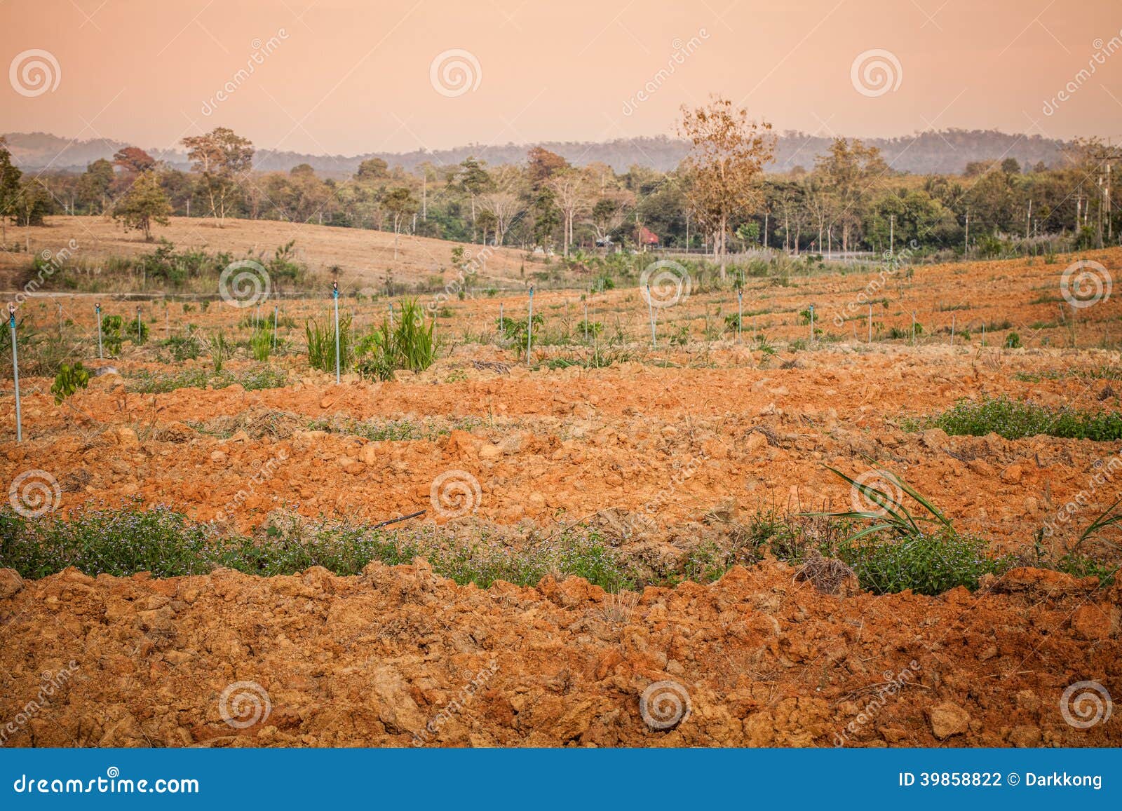 Lateritic soil stock photo. Image of surface, cultivated - 39858822