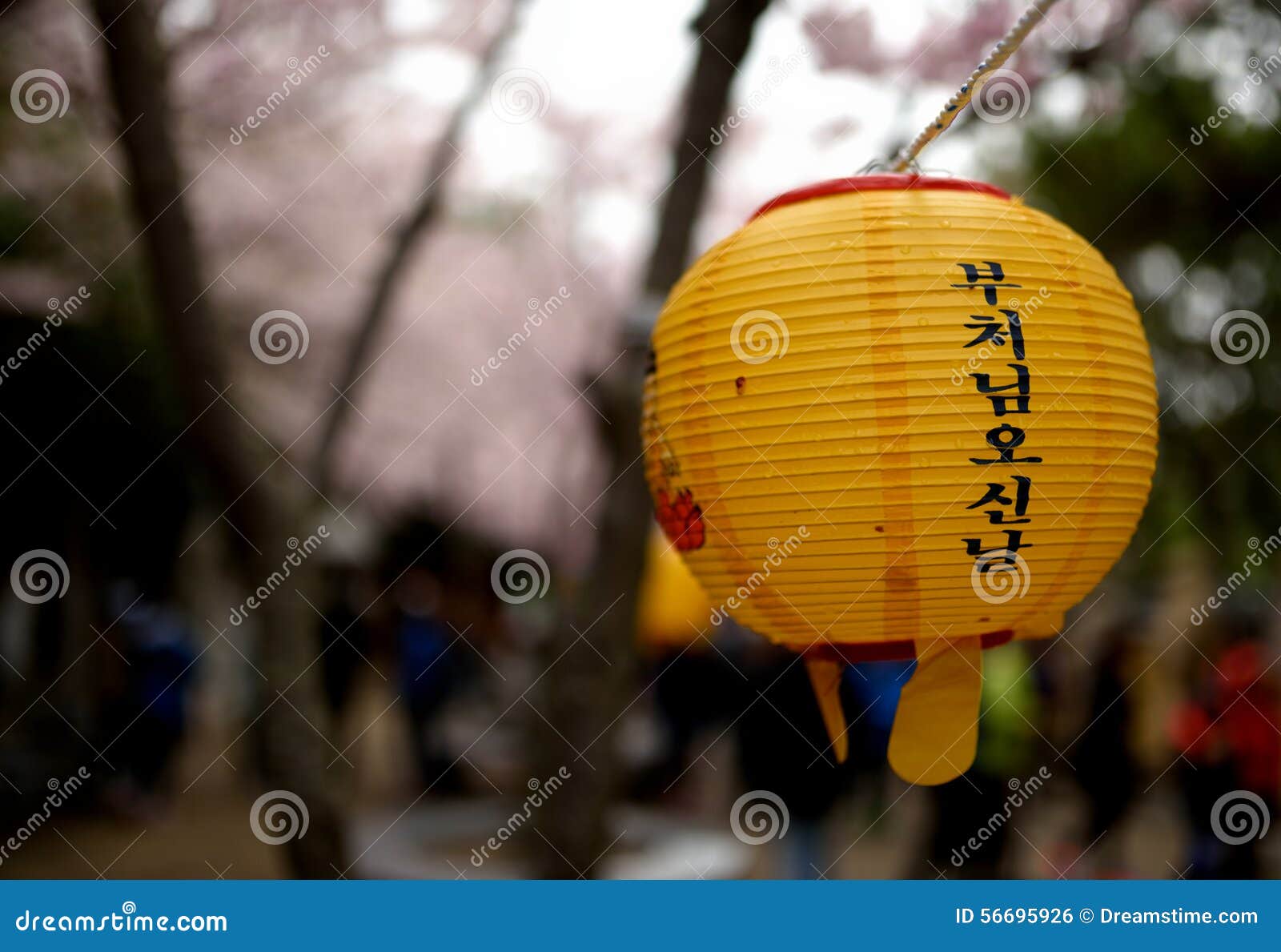 Latern stock photo. Image of festival, yelow, latern - 56695926