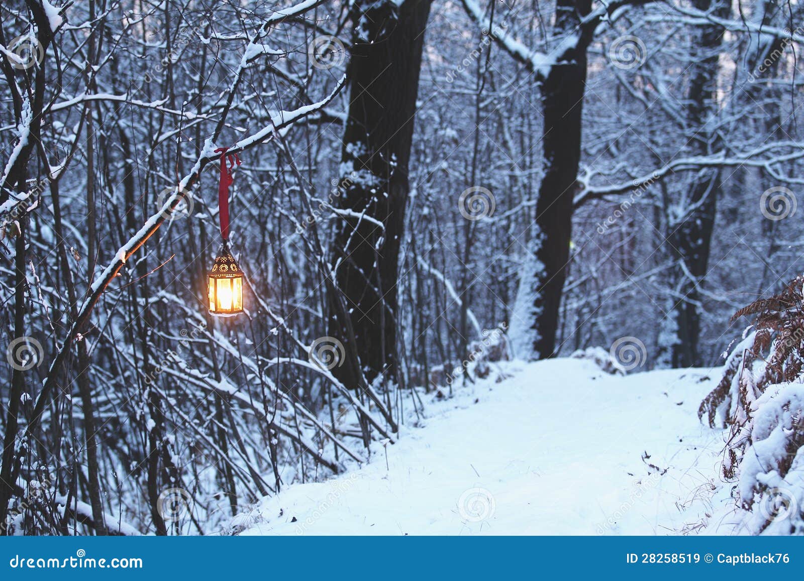 Laterne in Einem Winter Und in Einem Schneebedeckten Wald Stockbild ...