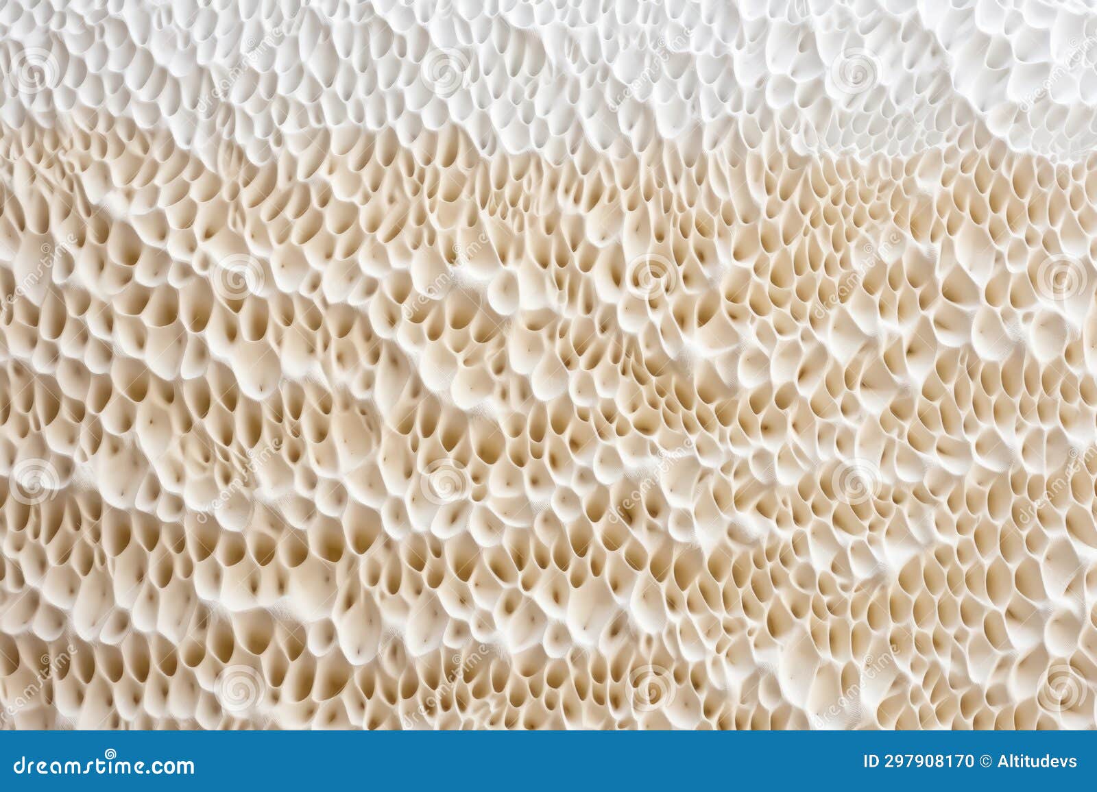 Latex Foam Texture Viewed with Details Stock Photo - Image of material ...