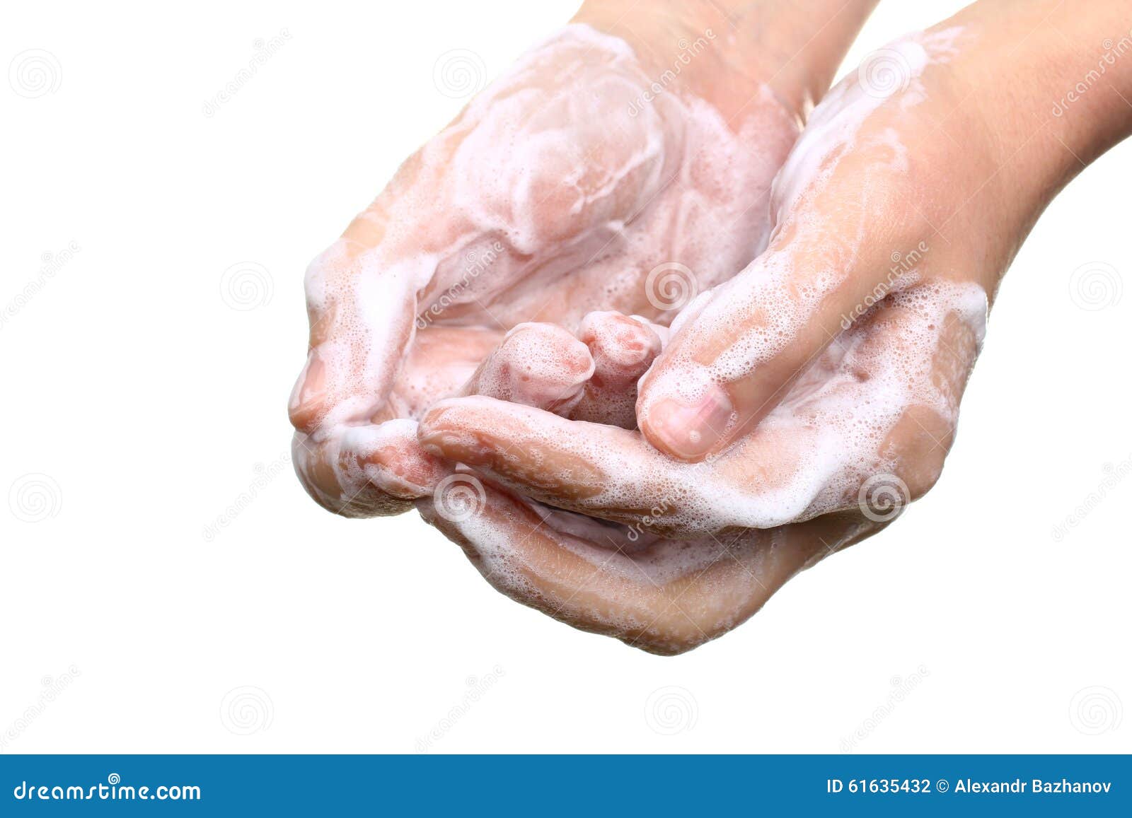 Lathered hands stock photo. Image of female, closeup - 61635432
