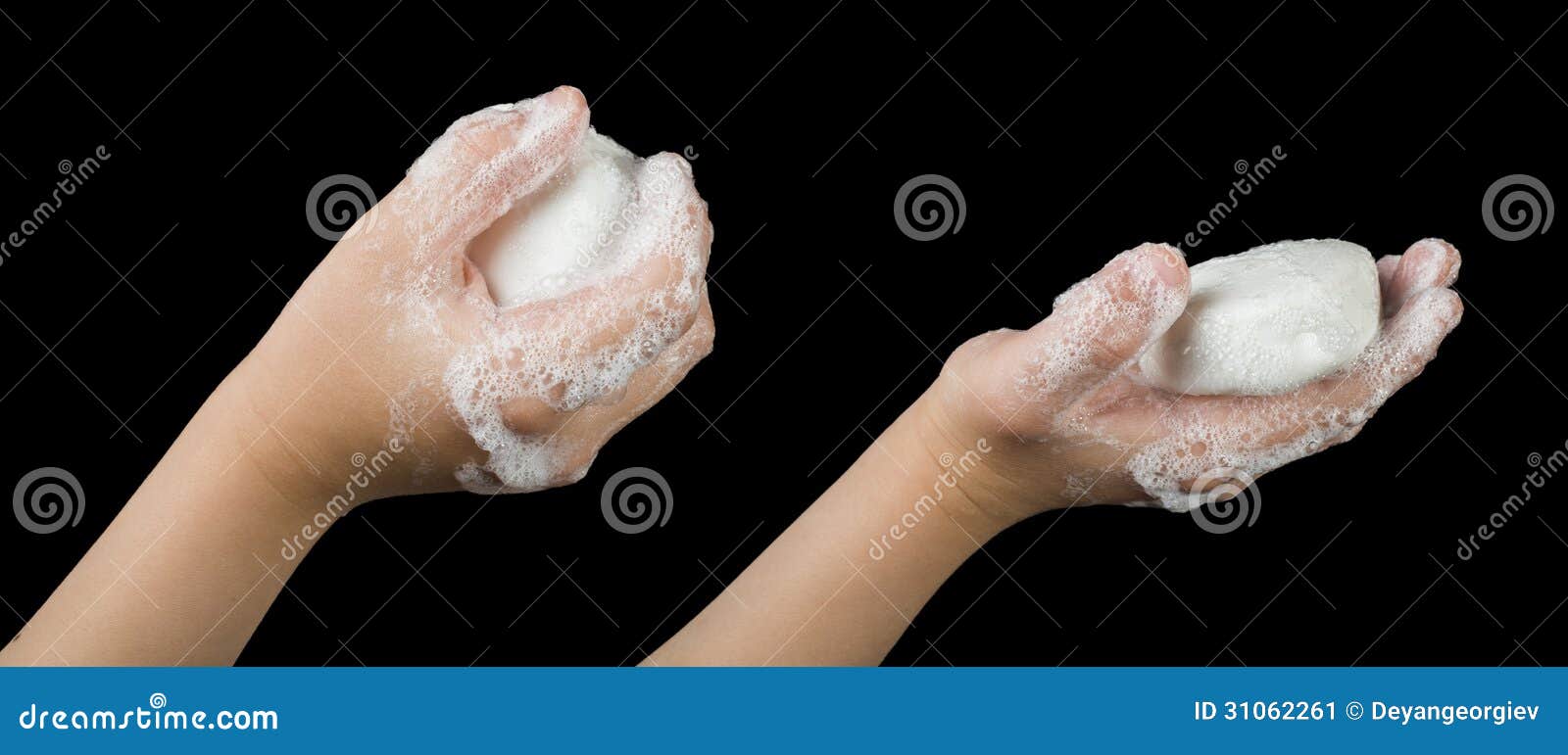 Lathered hands and soap stock image. Image of disinfect - 31062261