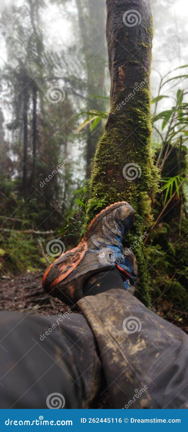 Latimojong Mountain Stock Photos - Free & Royalty-Free Stock Photos ...