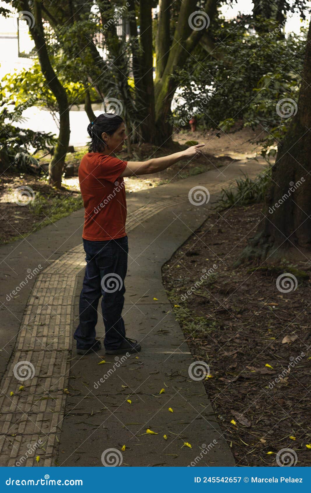 Black-haired Man Pointing at a Tree in Natural Park Stock Image - Image ...