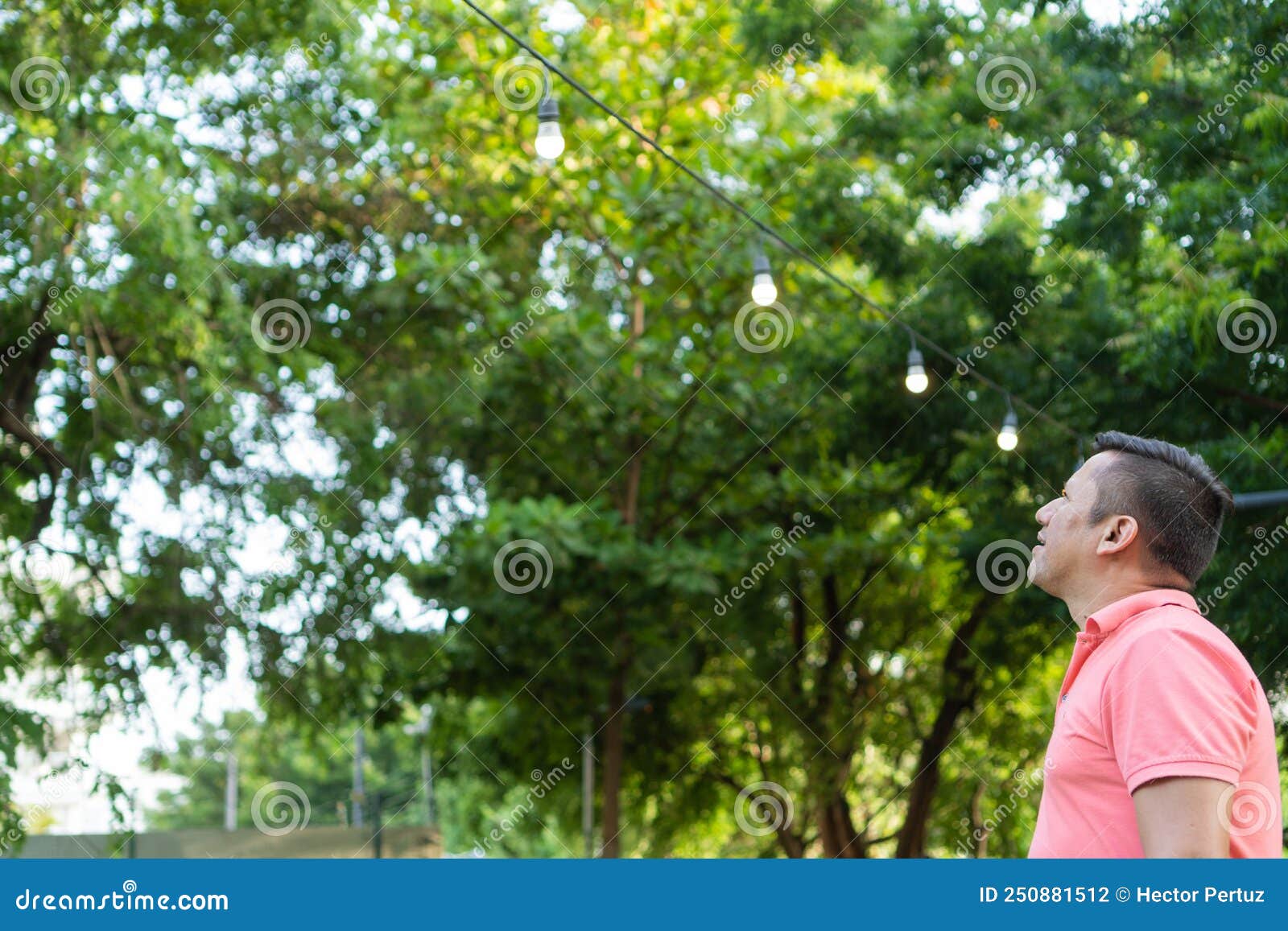Man Standing Looking at the Trees Stock Photo - Image of portrait ...